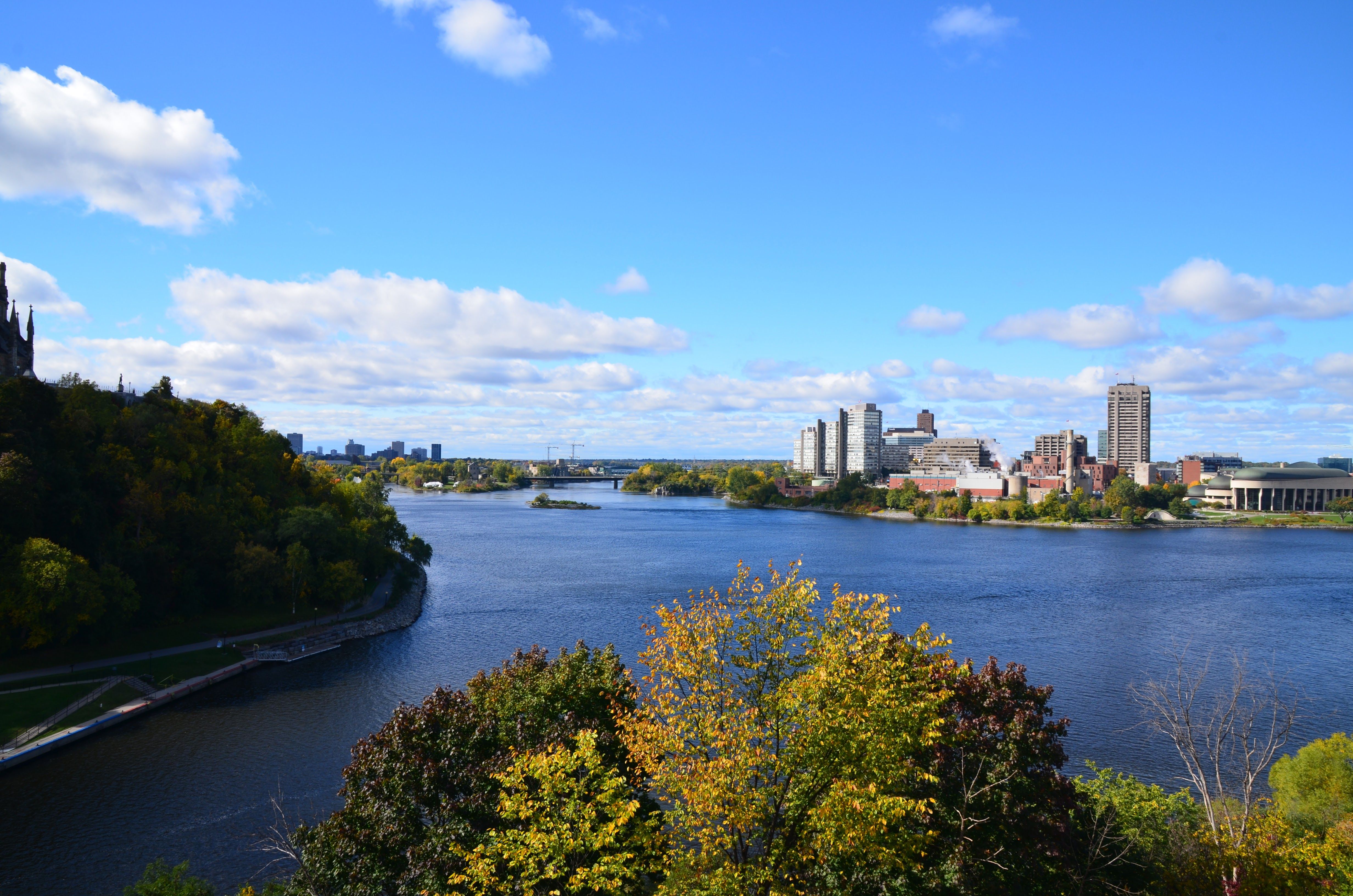 Forest and River near City · Free Stock Photo