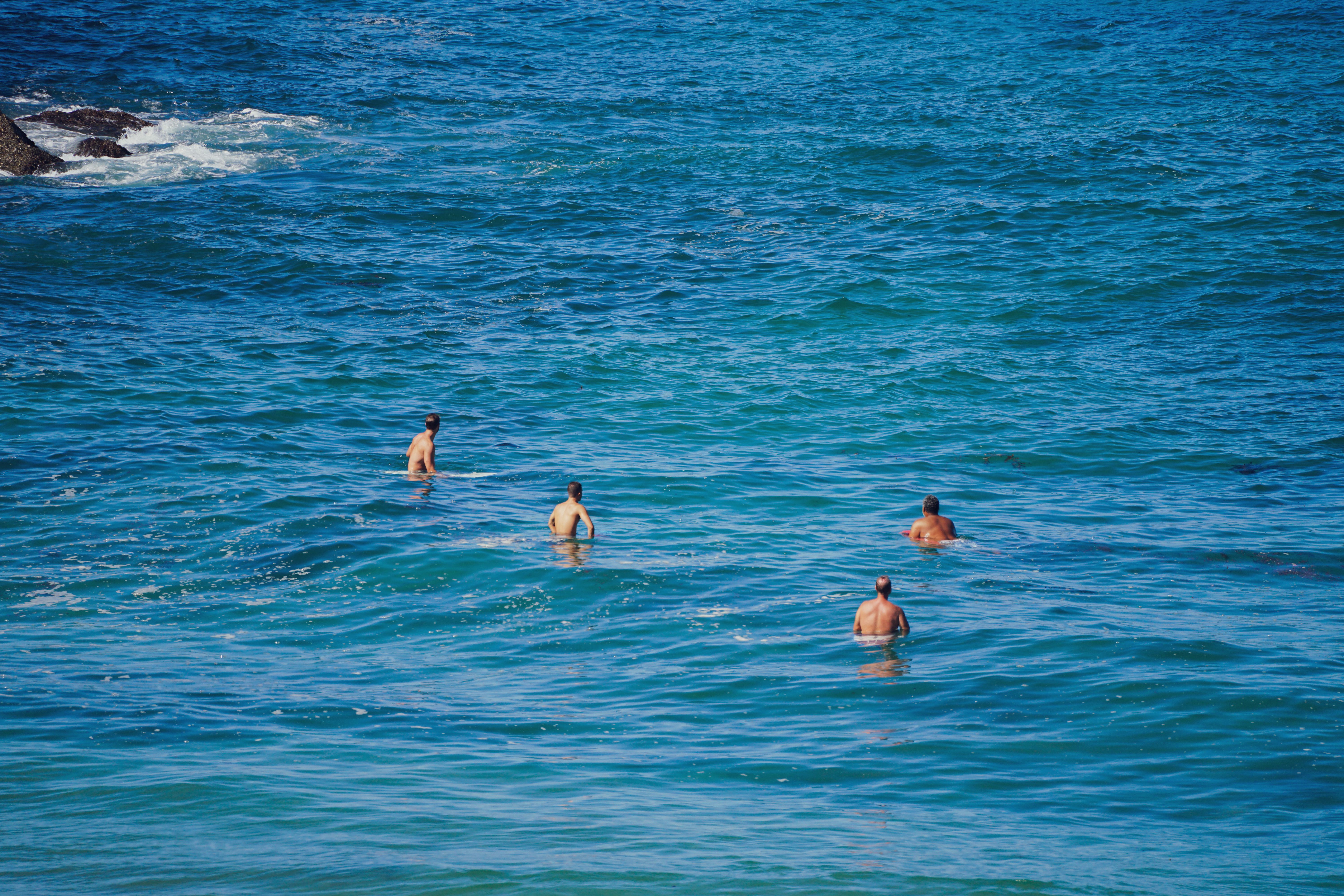 People Swimming in Sea · Free Stock Photo