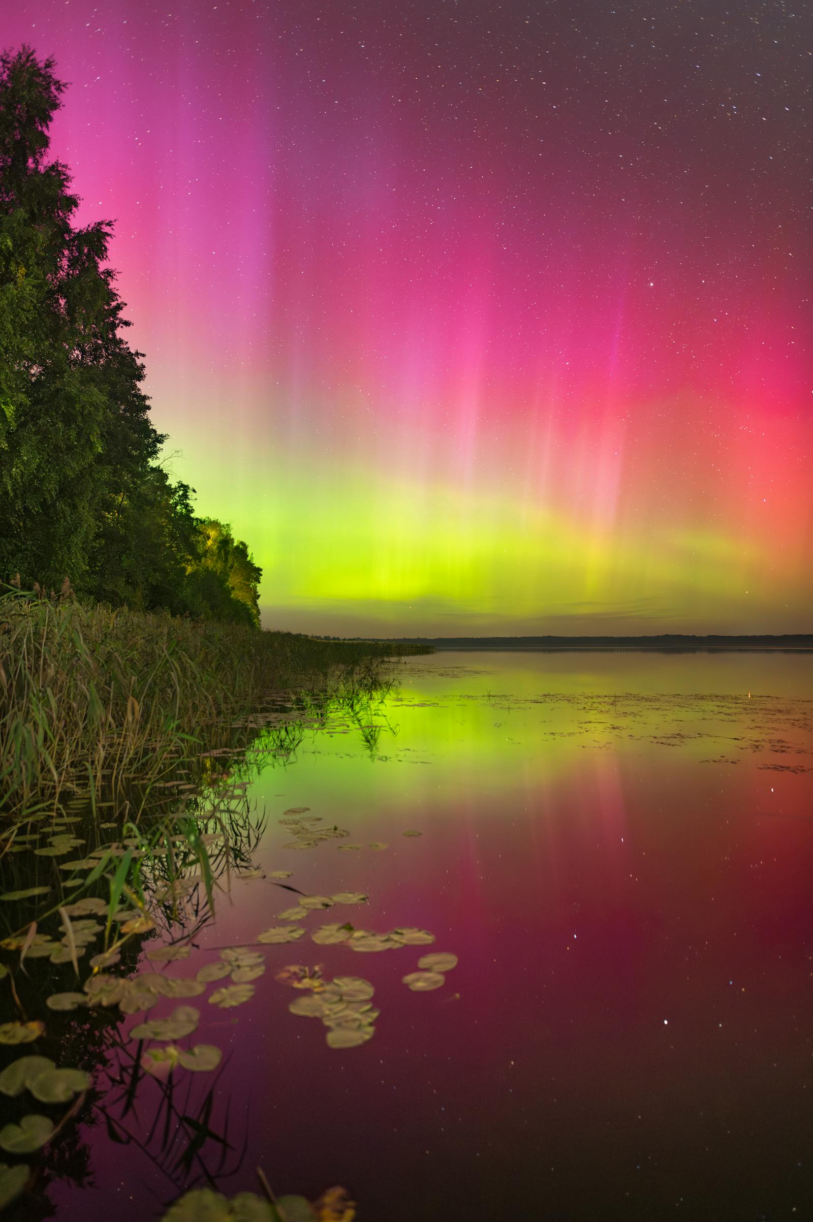 Night Sky Pfp Photos, Download The BEST Free Night Sky Pfp Stock Photos ...