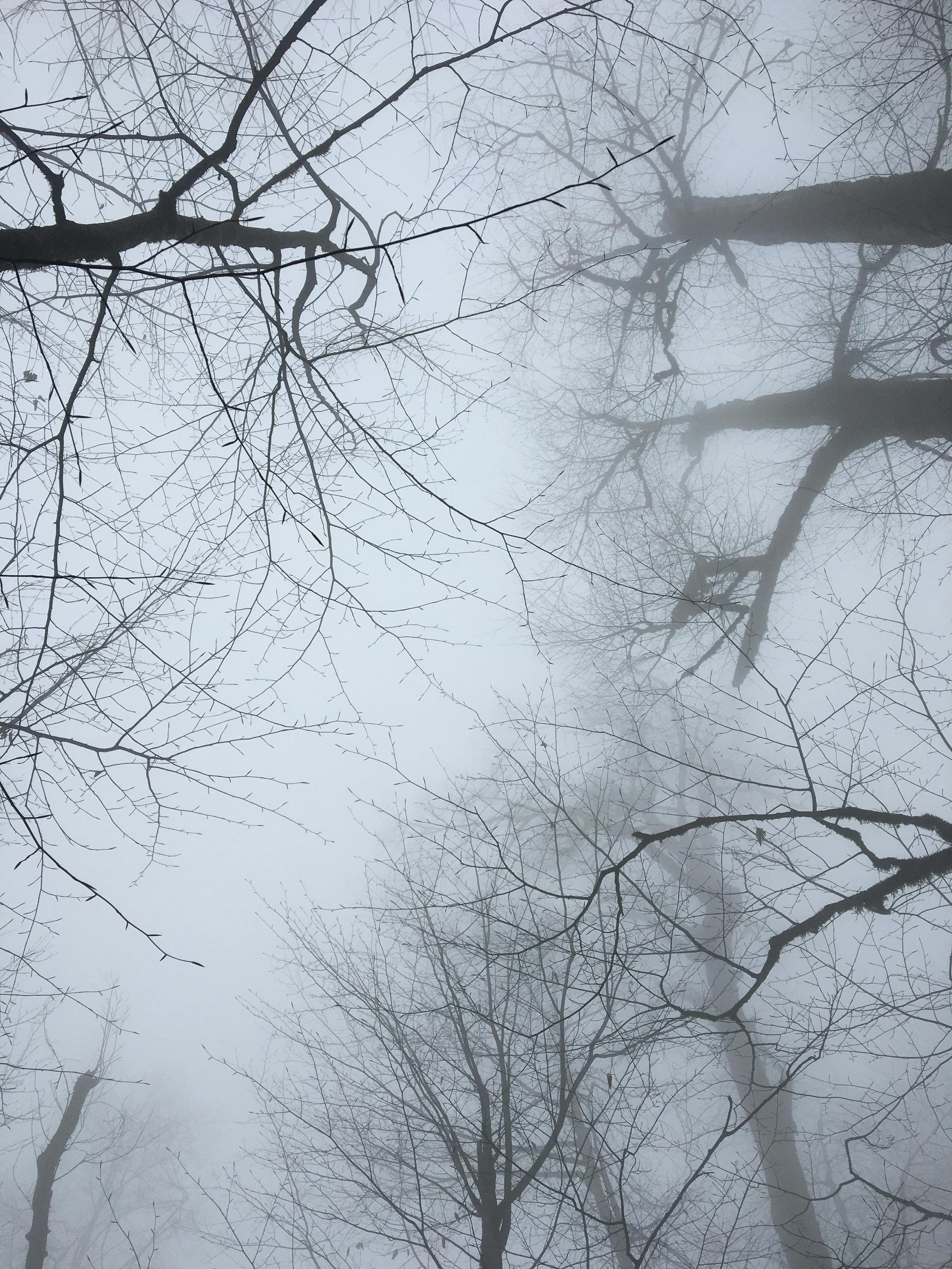 Hazy Photos, Download The BEST Free Hazy Stock Photos & HD Images