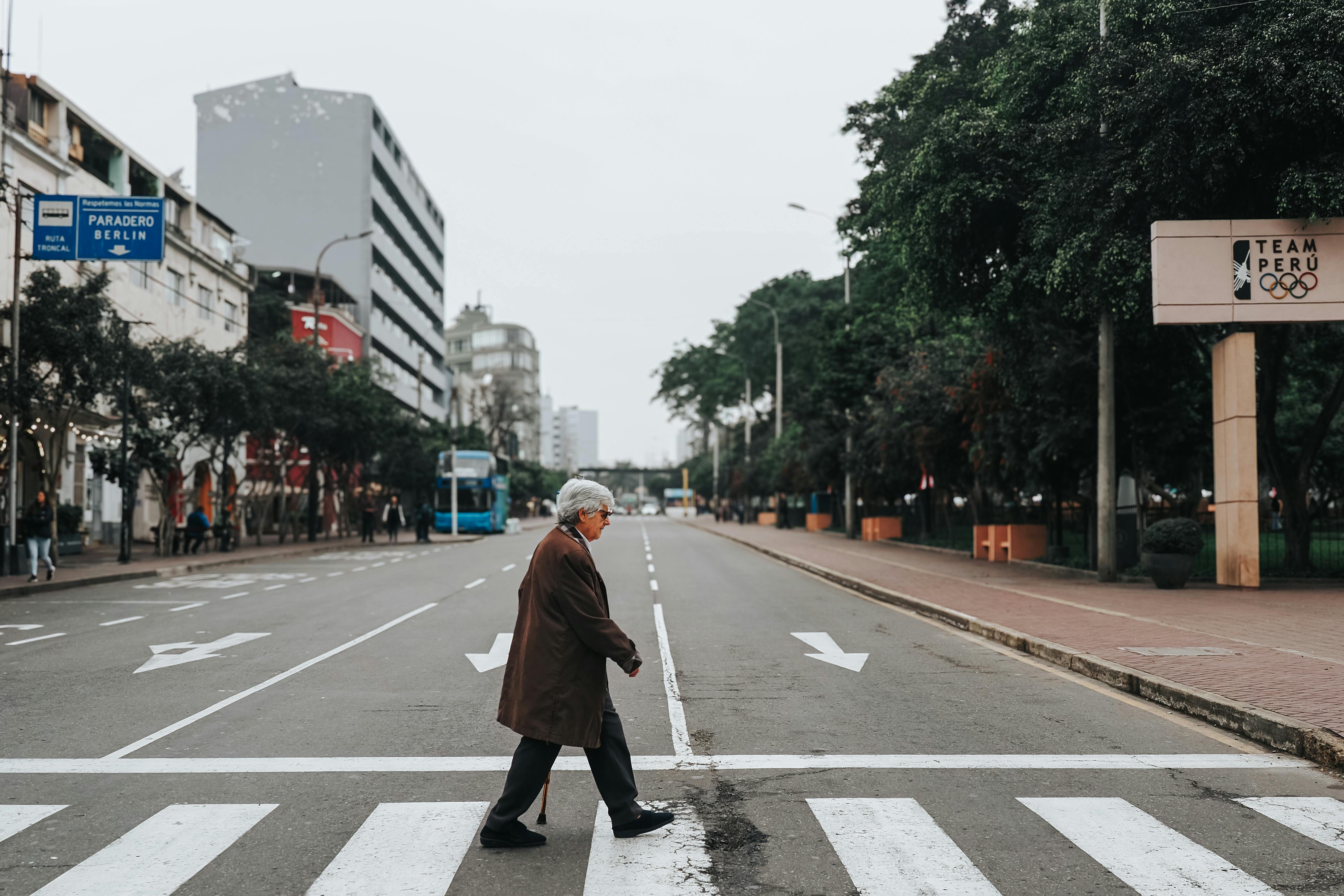 Pedestrian Walking Crosswalk · Free Stock Photo