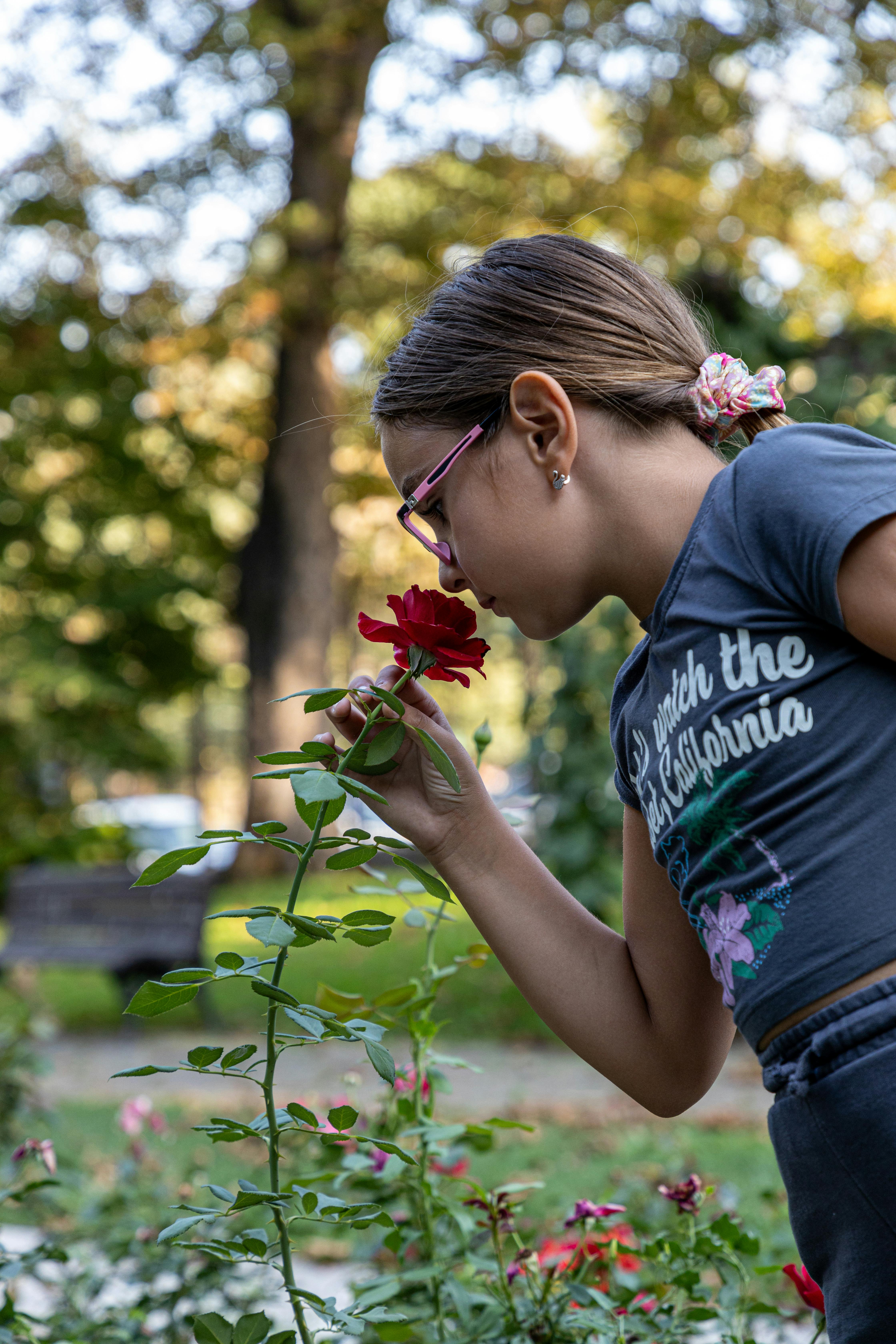Girl Smelling Rose in Park · Free Stock Photo