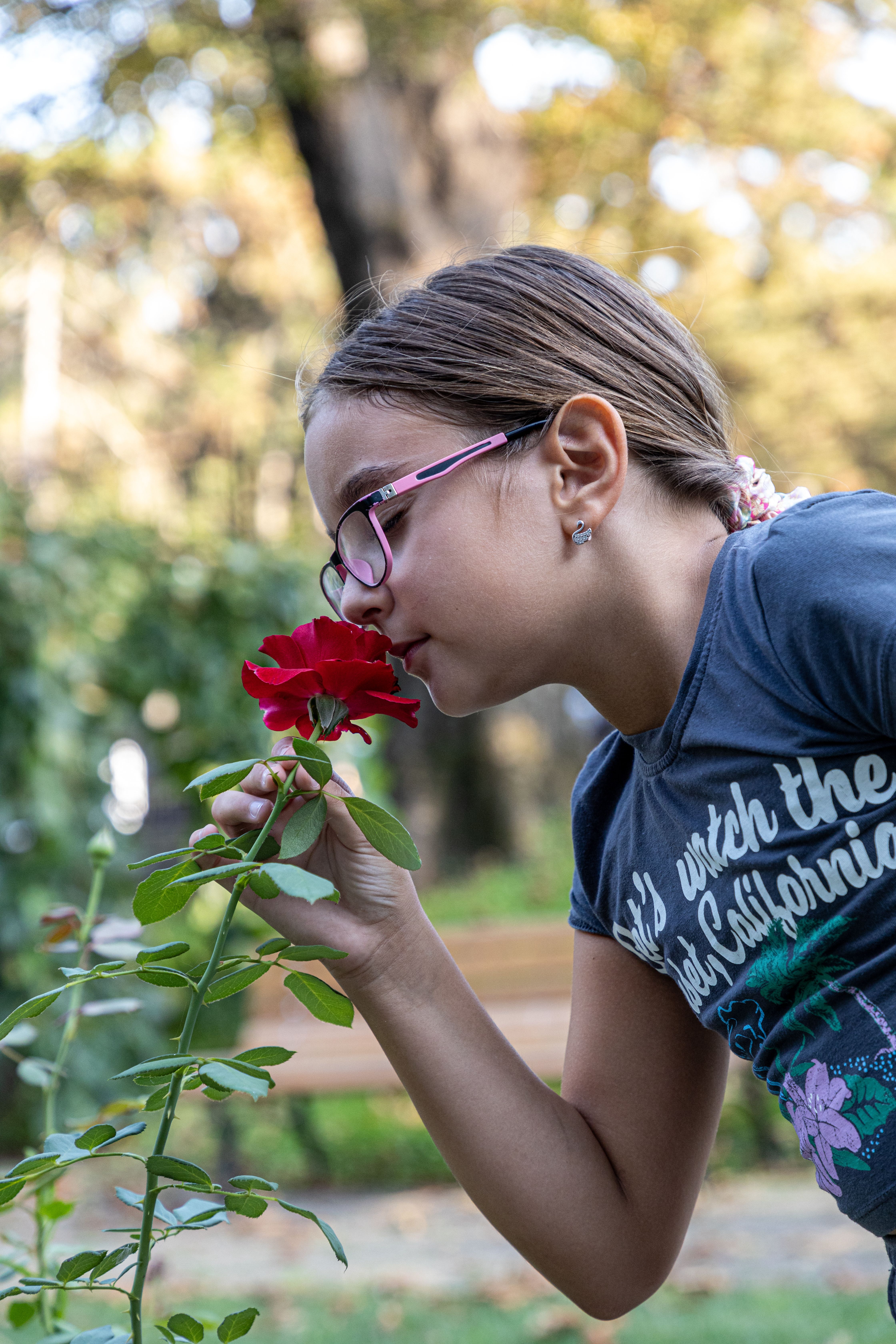 Blonde Girl Smelling Red Rose in Park · Free Stock Photo