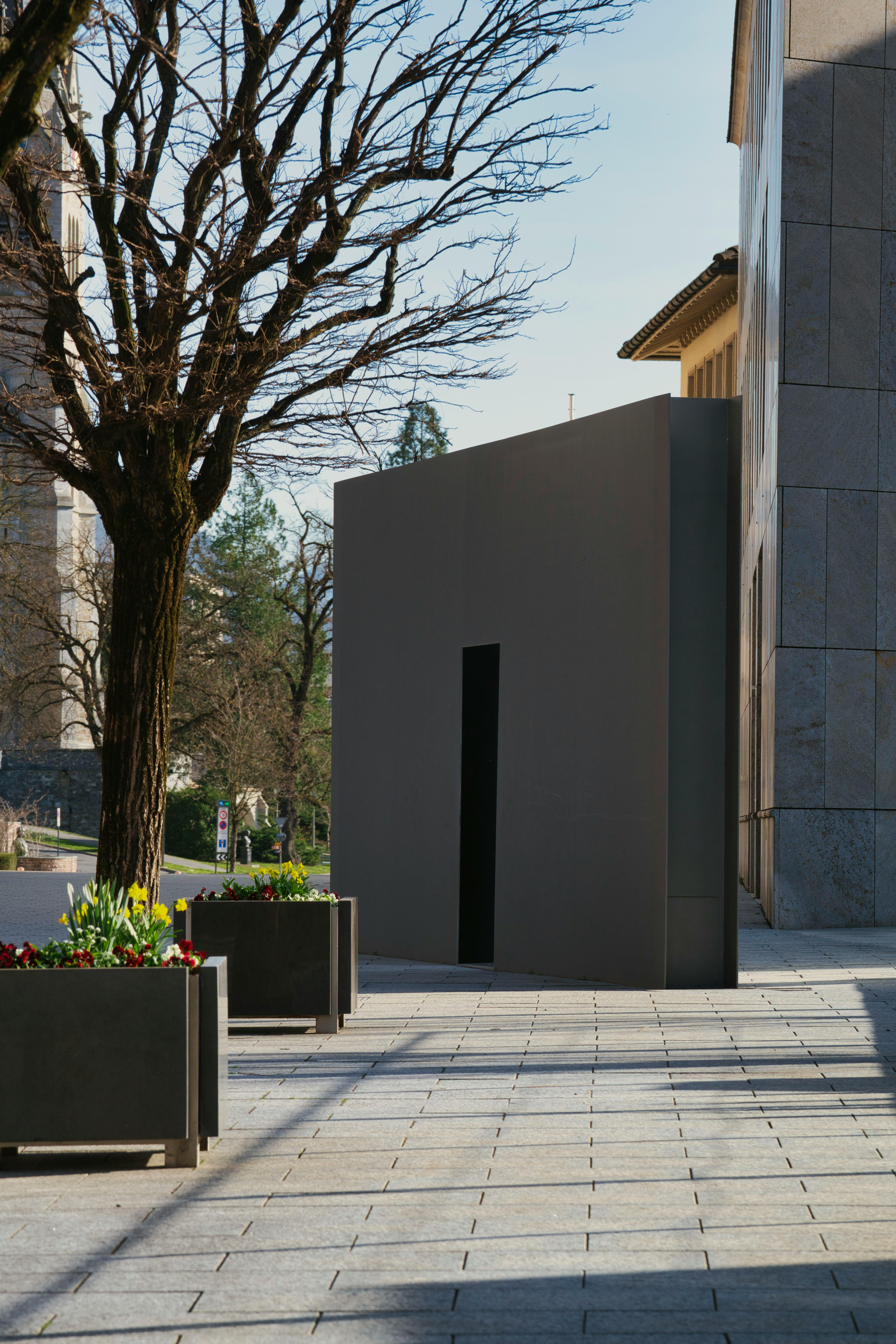 Square Flowers Photos, Download The BEST Free Square Flowers Stock ...