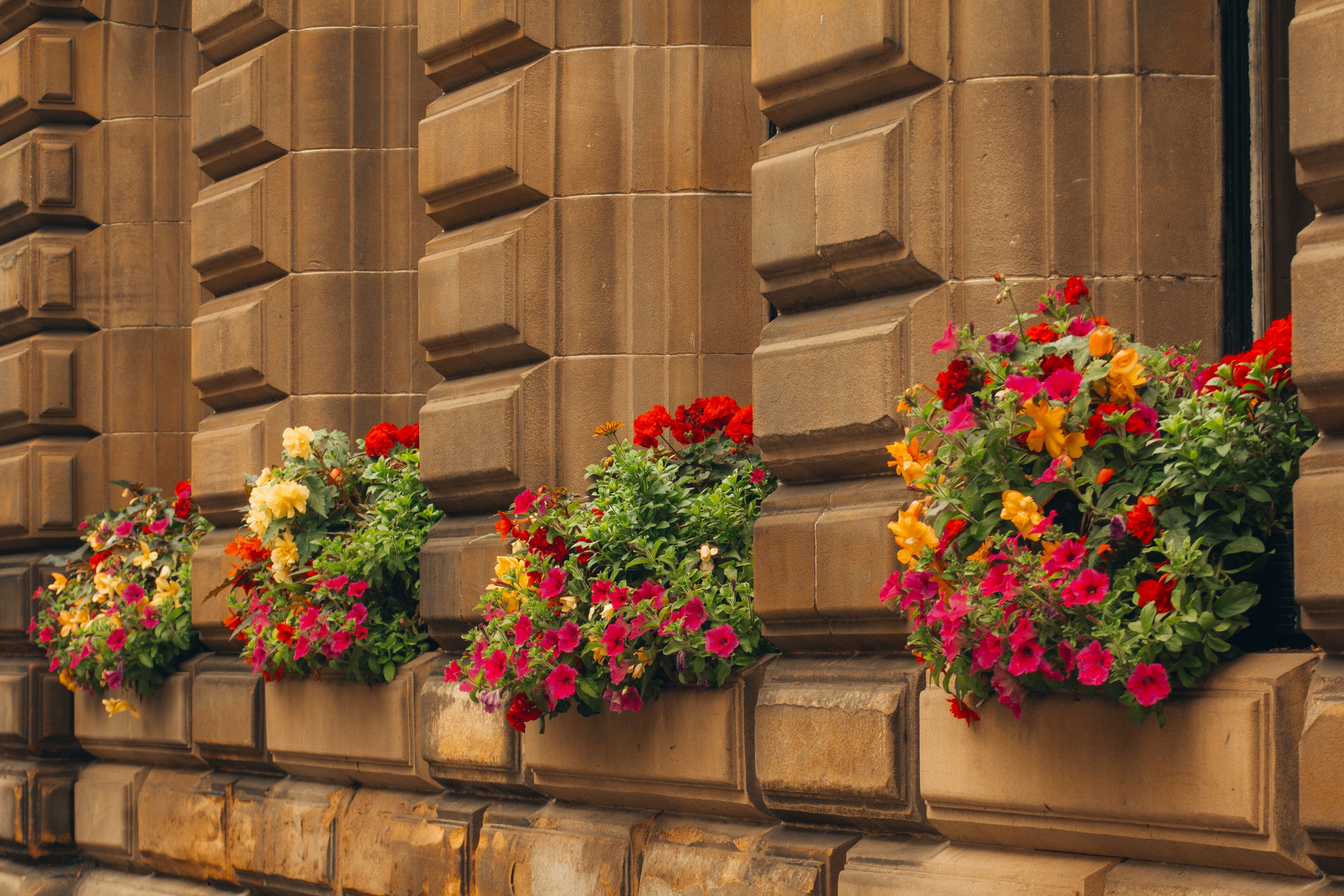 A Building with Flowers · Free Stock Photo
