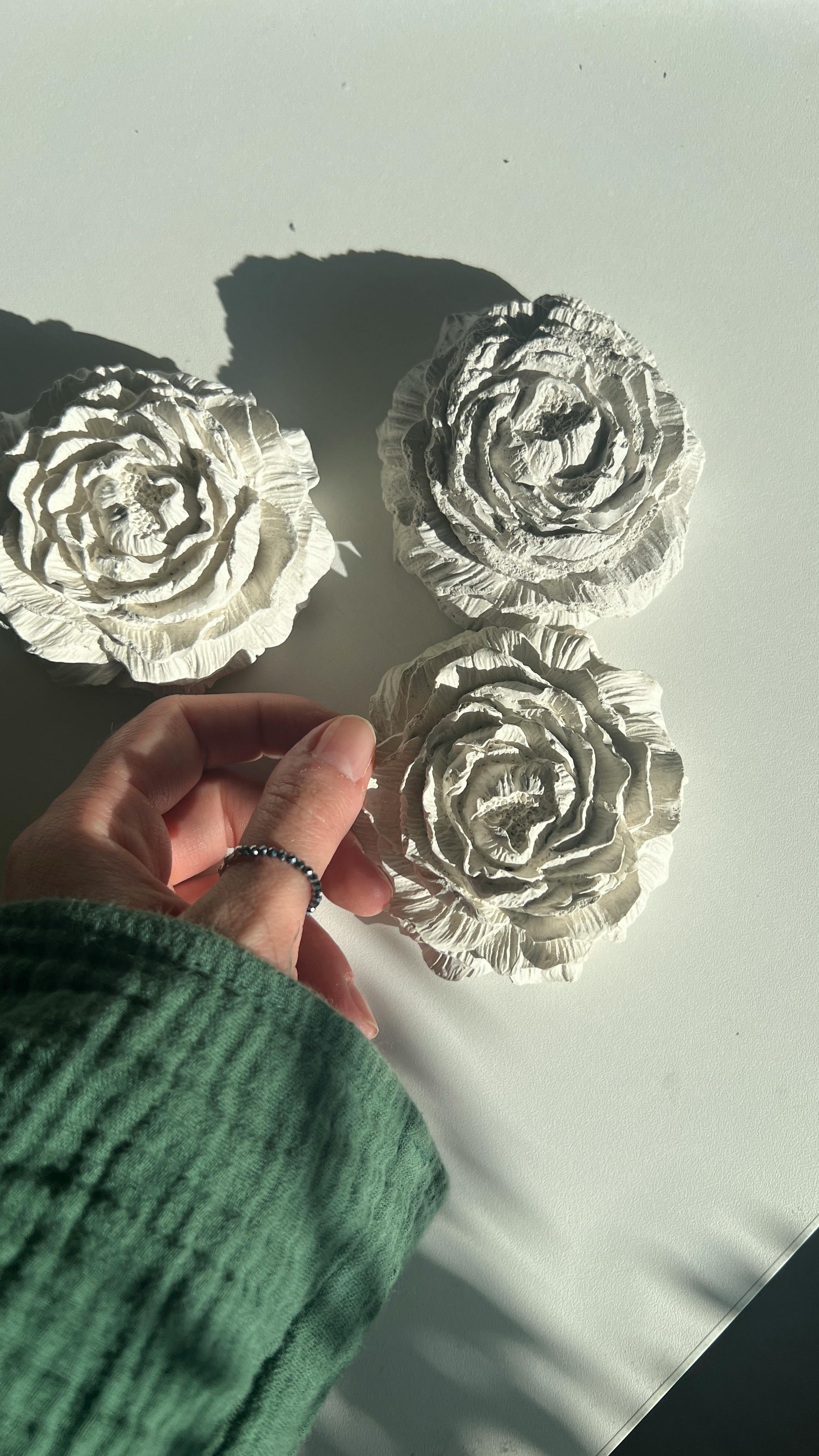 Viktorya Sergeeva 🫂 - Photography