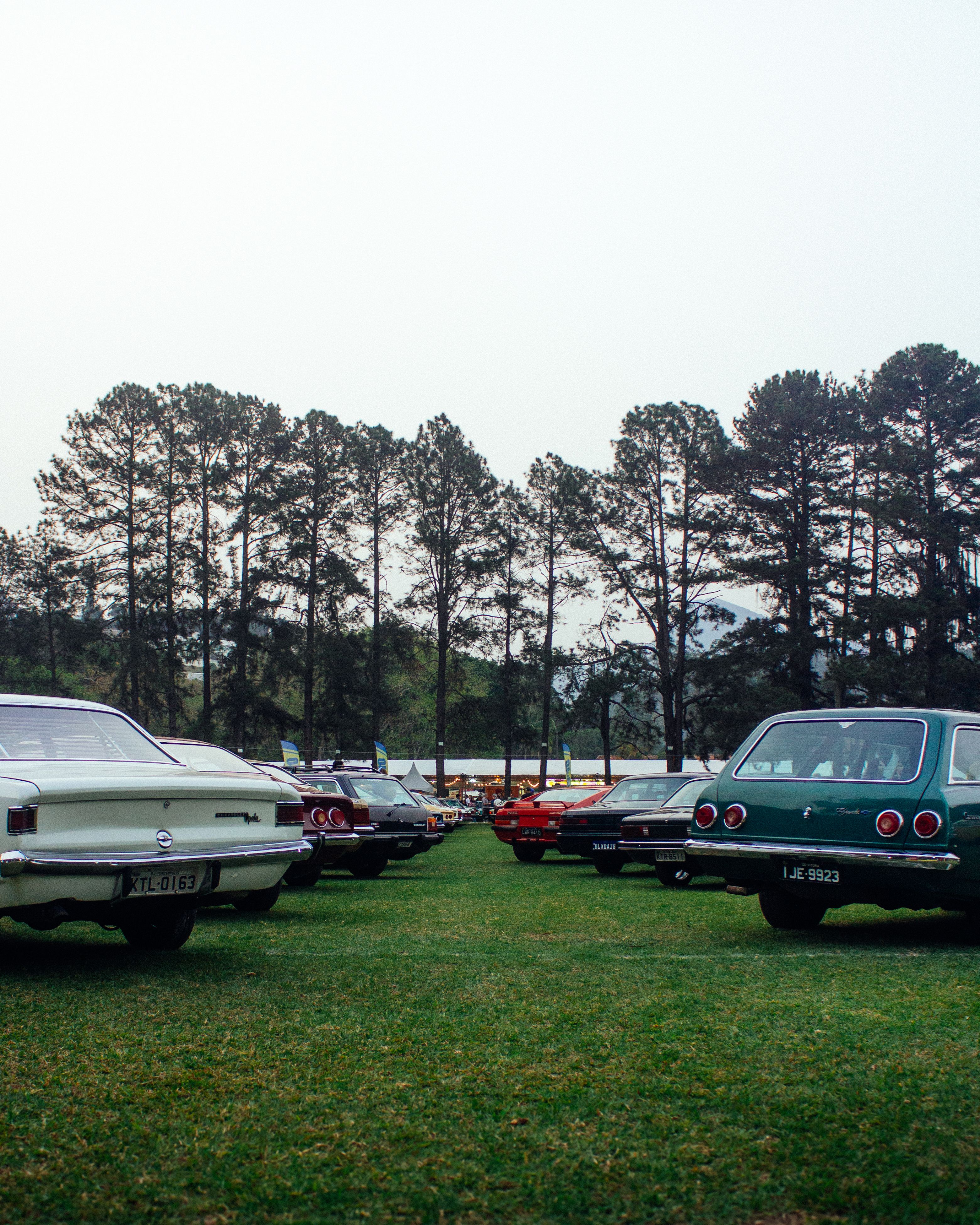 A group of classic cars parked in a field · Free Stock Photo