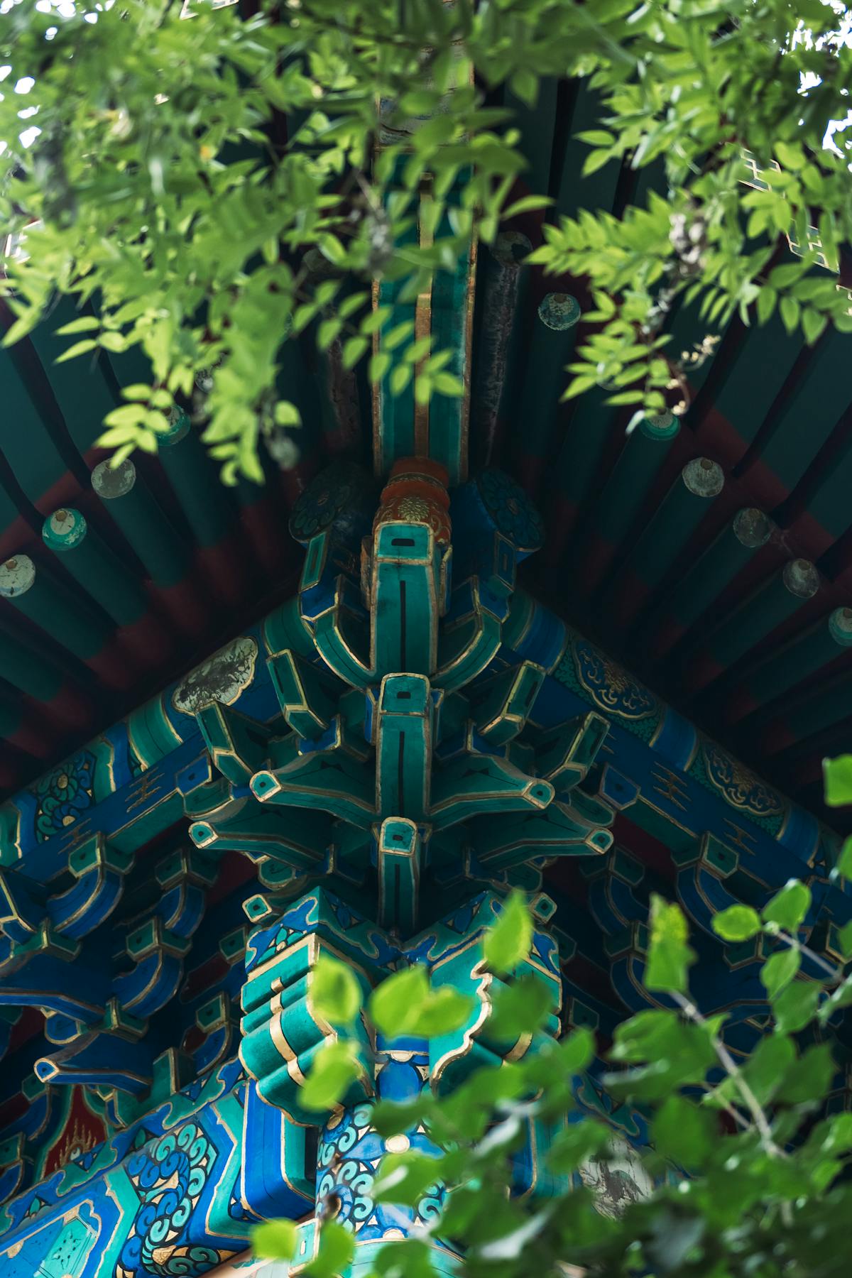 Green Art Photos, Download The BEST Free Green Art Stock Photos & HD Images