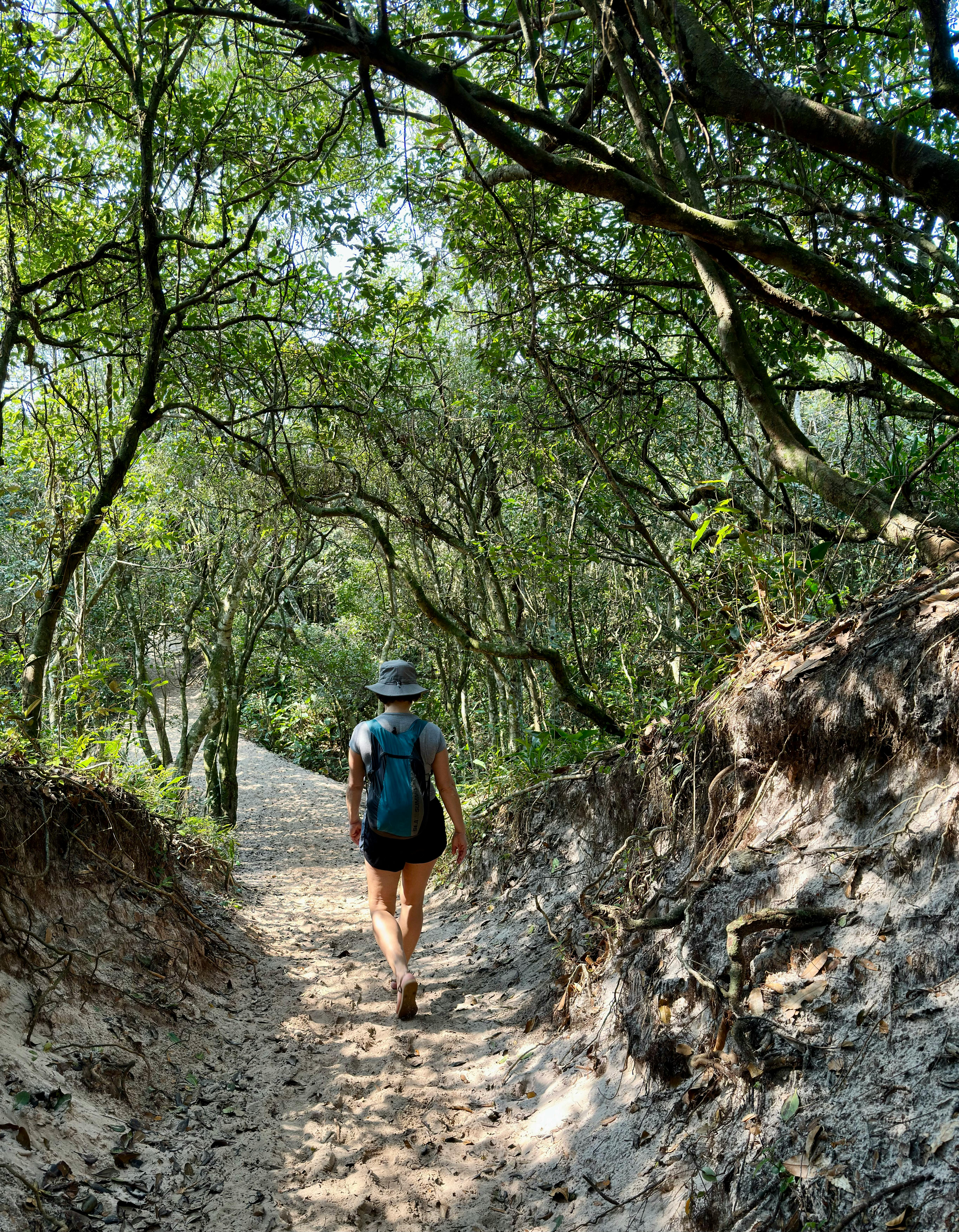 Luis Andrade - Photography