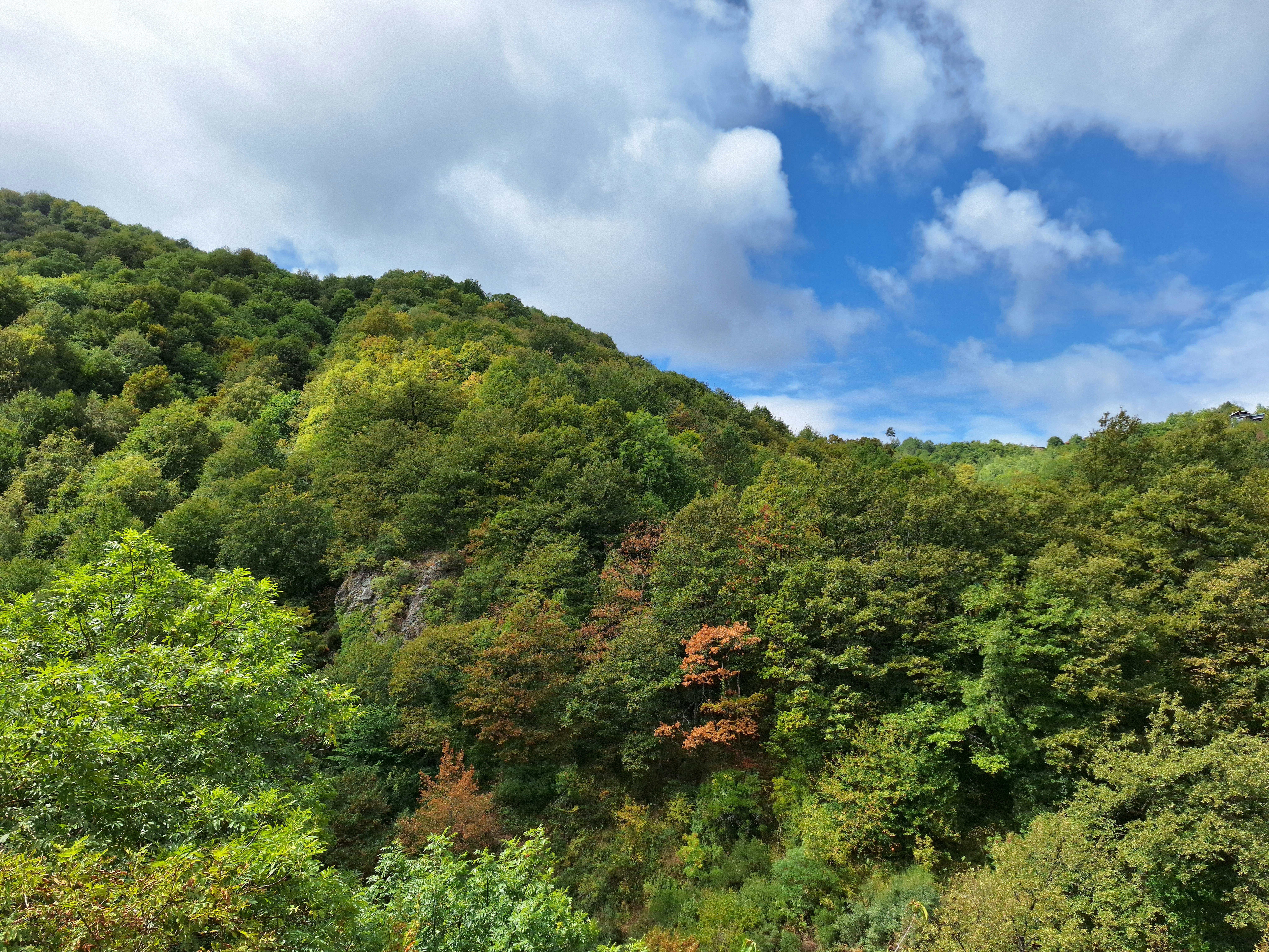 Alper Murat KİRPİK - Photography