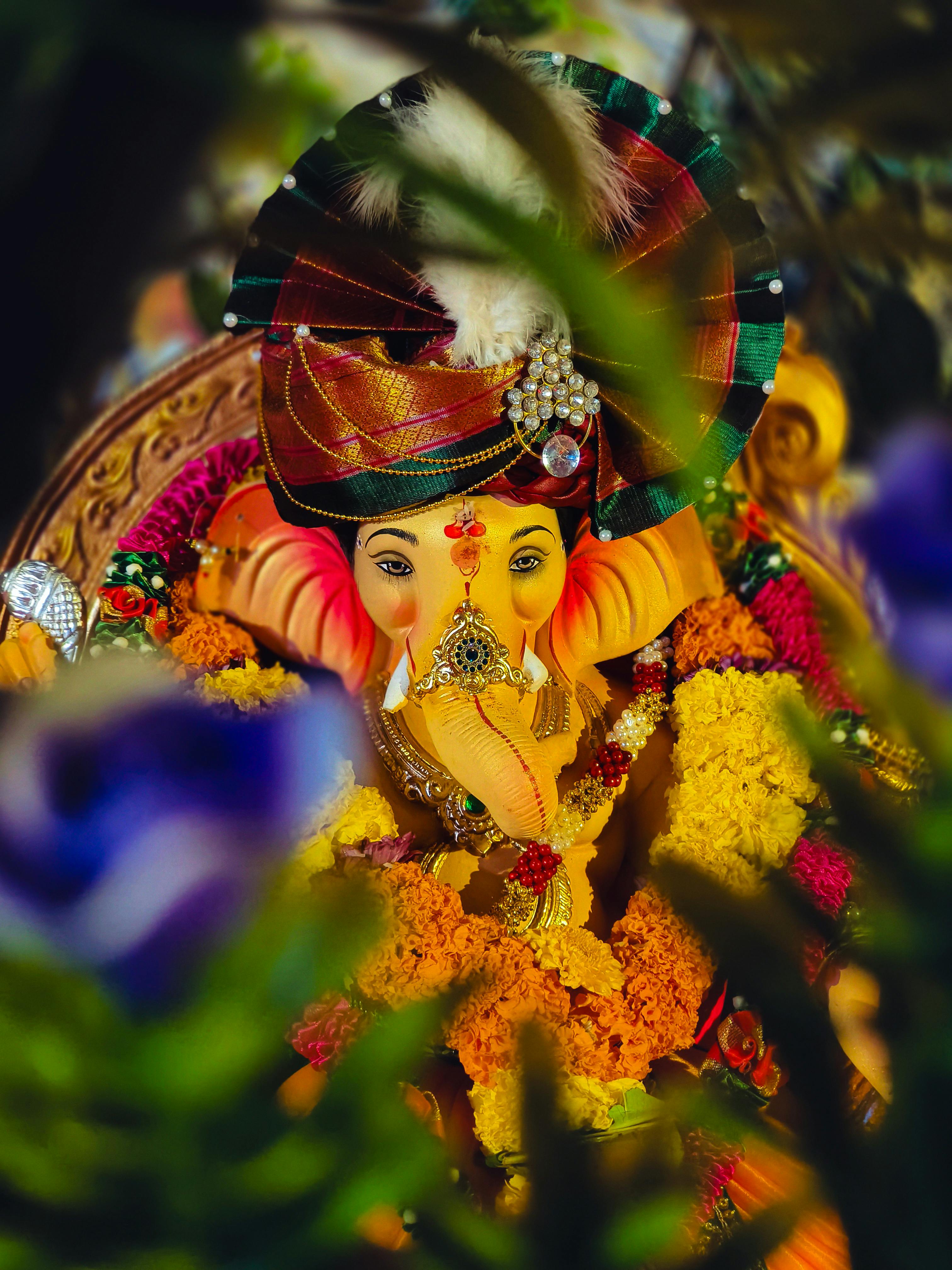 Kpop Idol Photos, Download The BEST Free Kpop Idol Stock Photos & HD Images