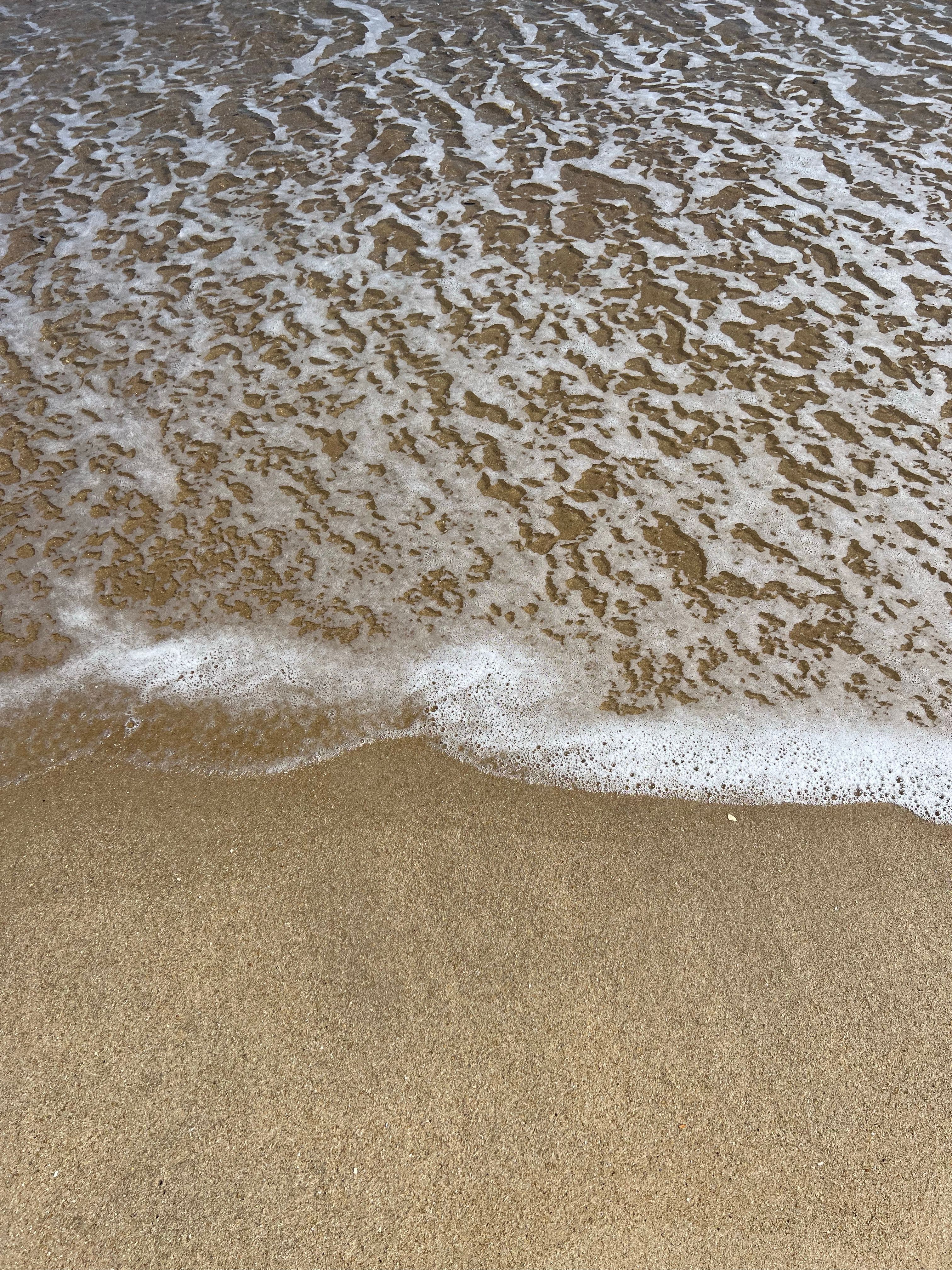 Edge of a Sandy Beach · Free Stock Photo
