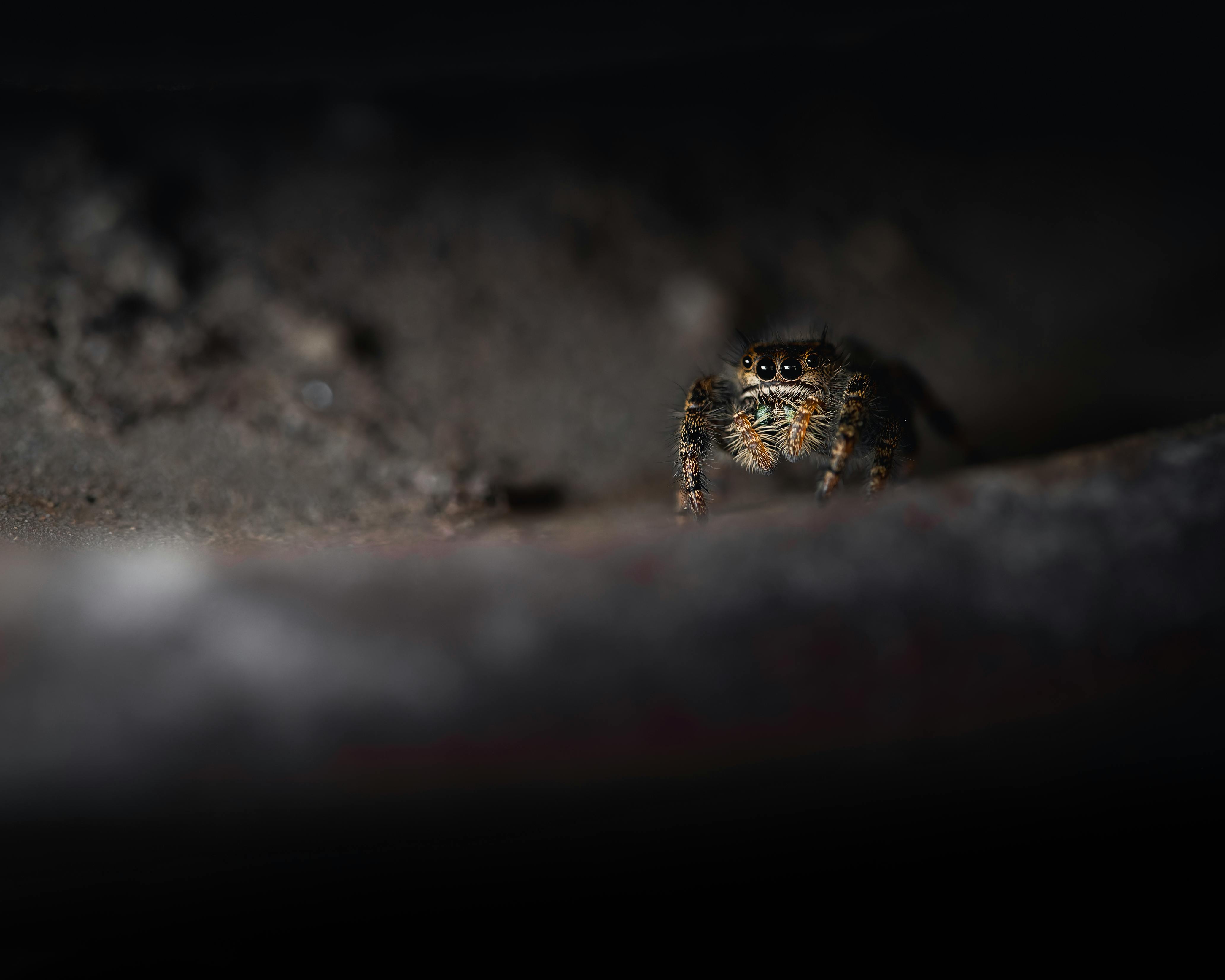 Textures Wwall Photos, Download The BEST Free Textures Wwall Stock ...