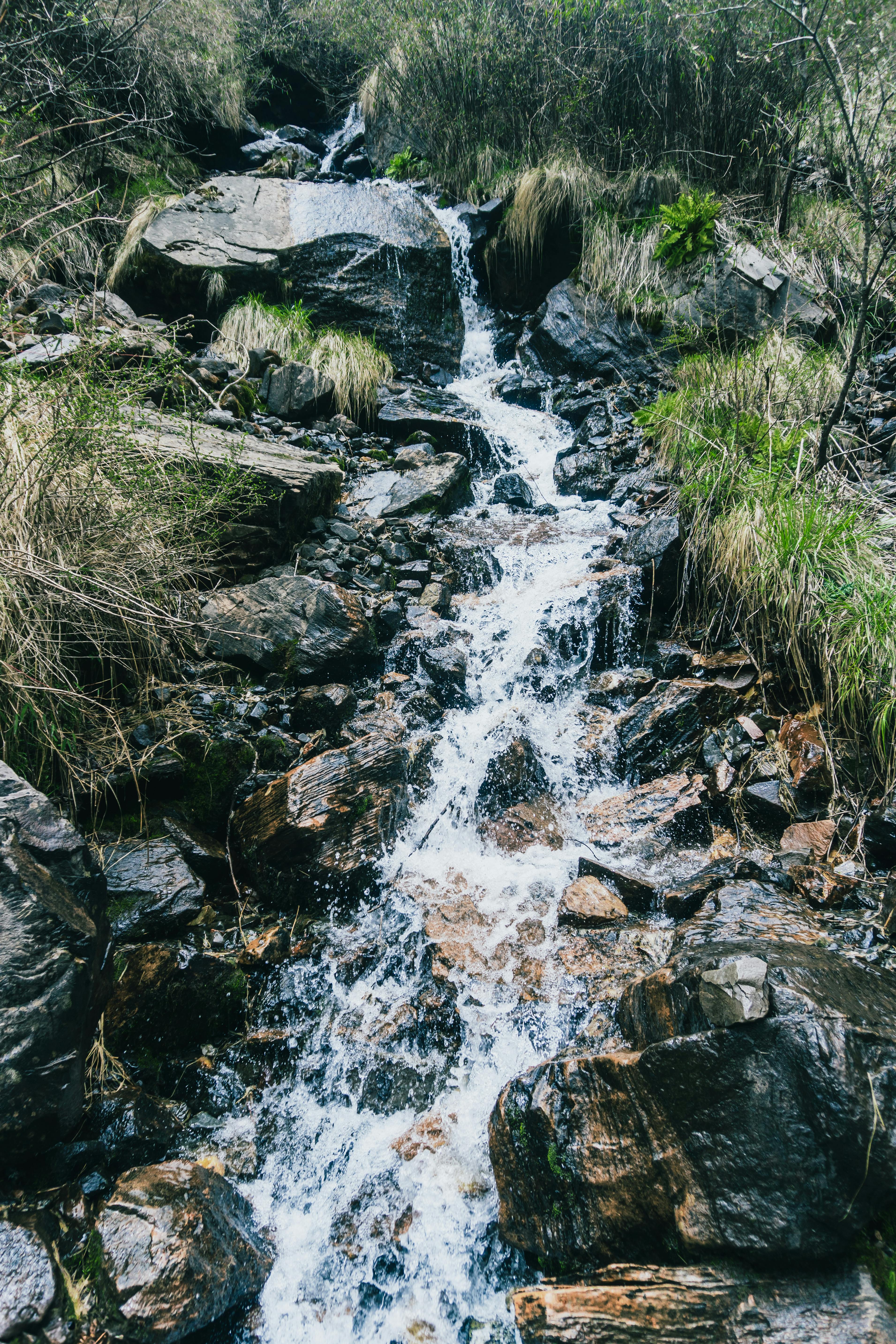 A waterfall in the woods with rocks and grass · Free Stock Photo