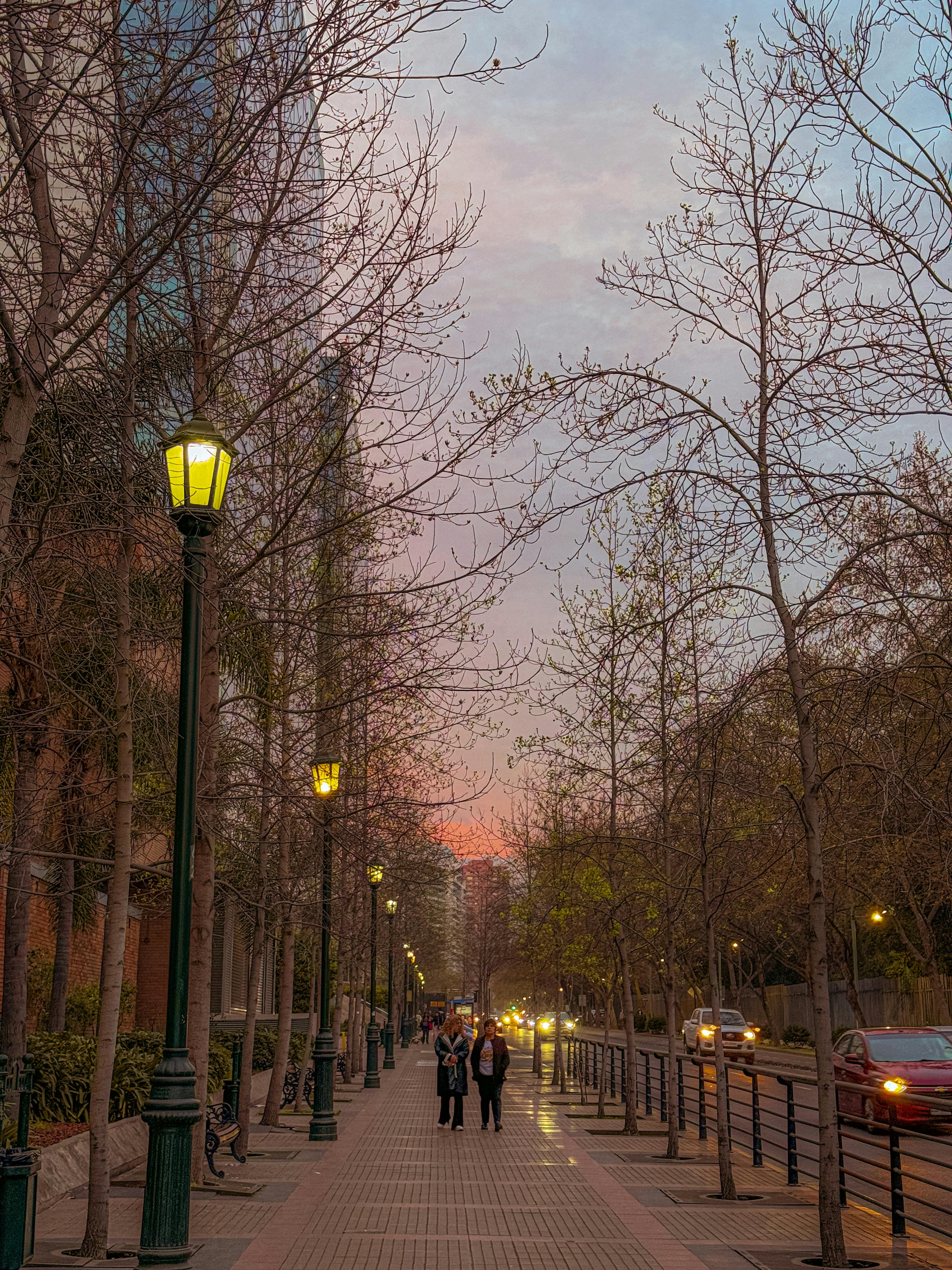 Chile Lantern Photos, Download The BEST Free Chile Lantern Stock Photos ...