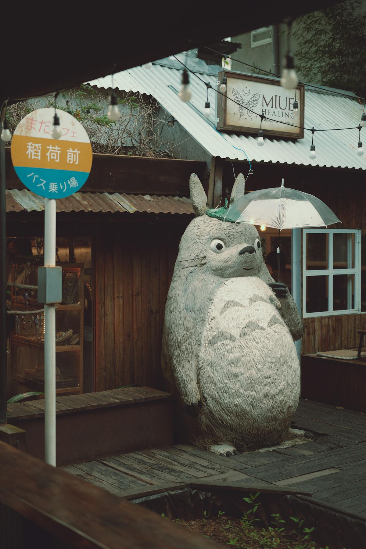Totoro Photos, Download The BEST Free Totoro Stock Photos & HD Images