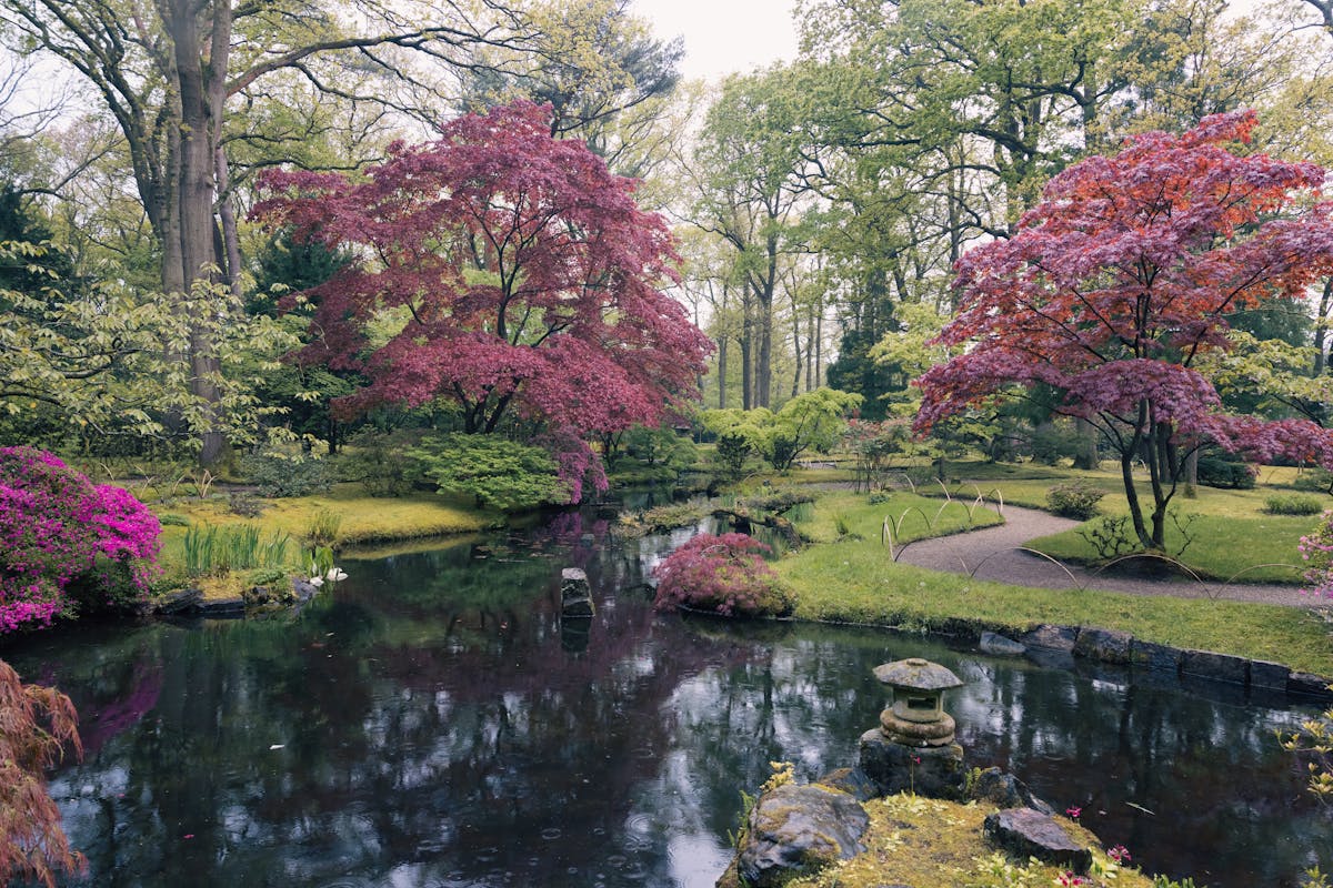 Garden Landscape Photos, Download The BEST Free Garden Landscape Stock ...