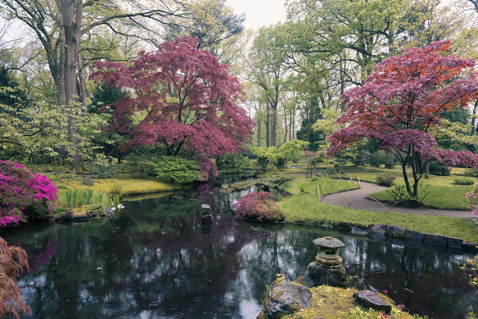 Garden Landscape Photos, Download The BEST Free Garden Landscape Stock ...