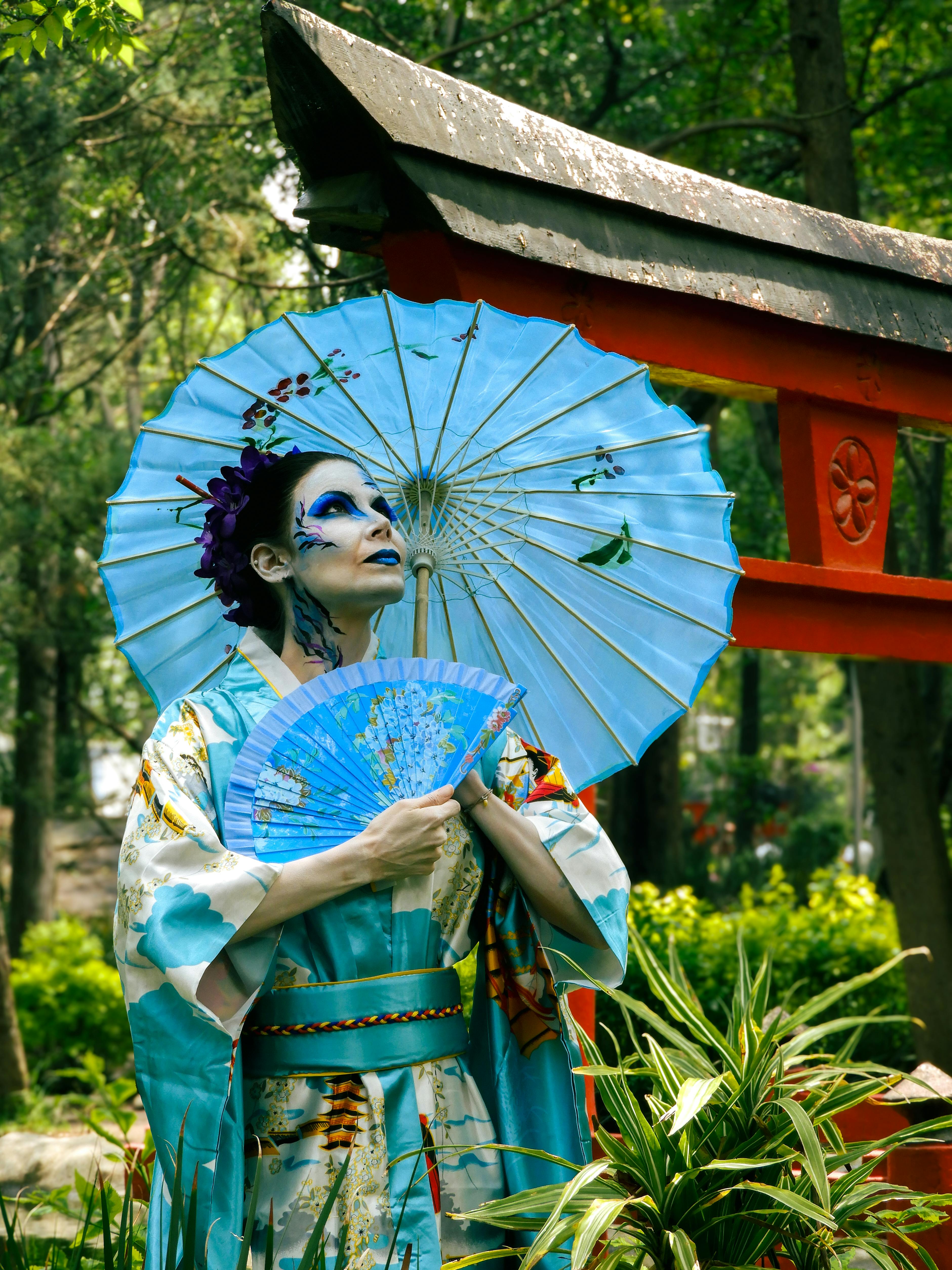 A person dressed as a geisha holding a fan · Free Stock Photo