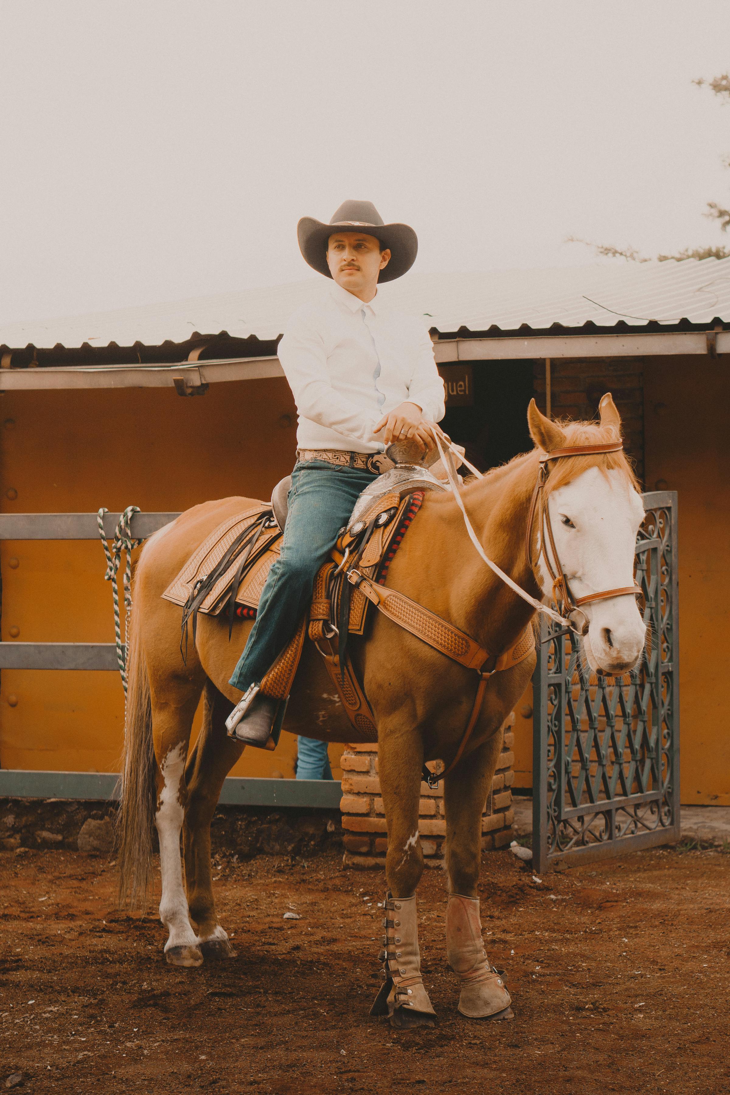 Cowboy on a Horse · Free Stock Photo