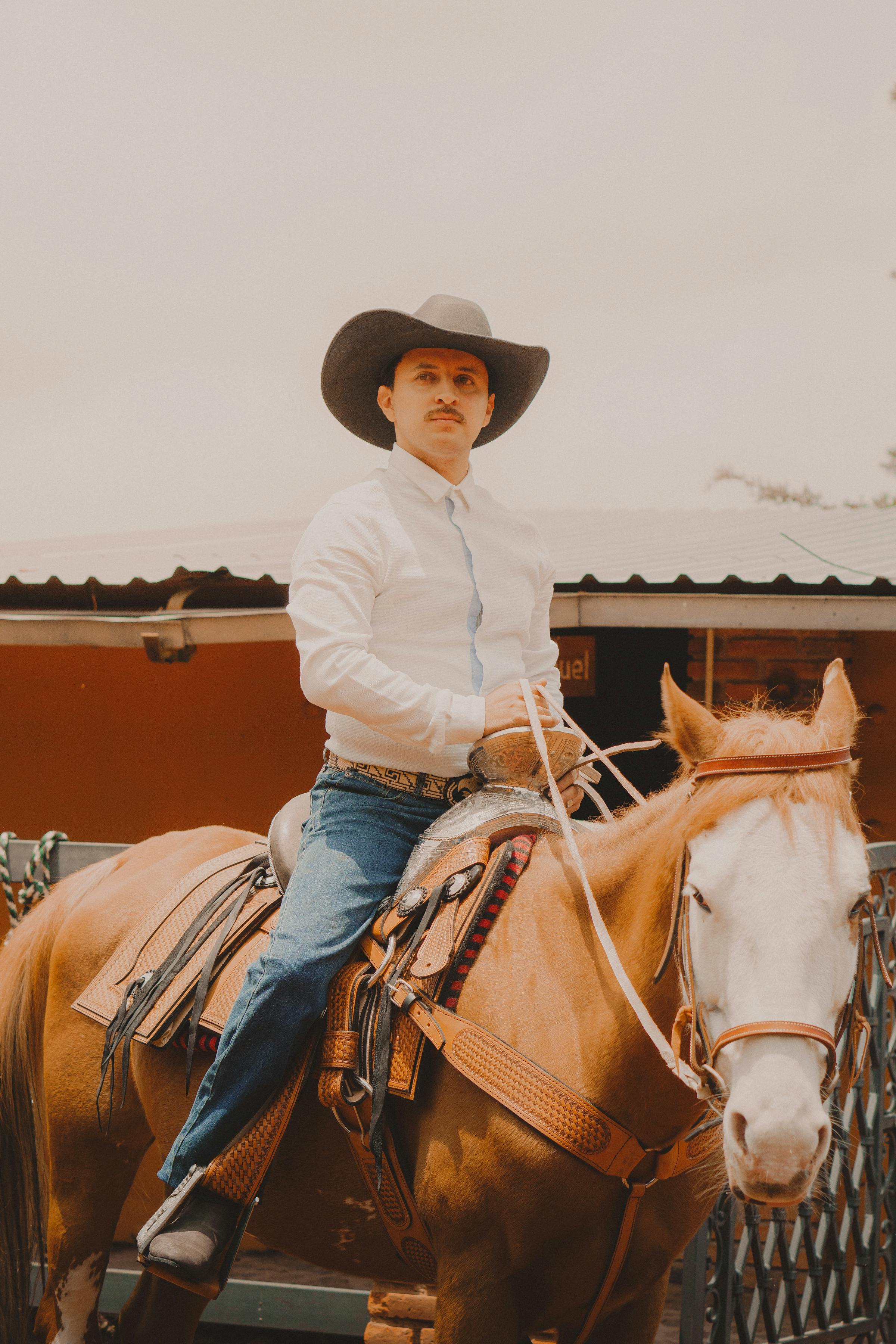 Man in Hat Sitting on Horse · Free Stock Photo