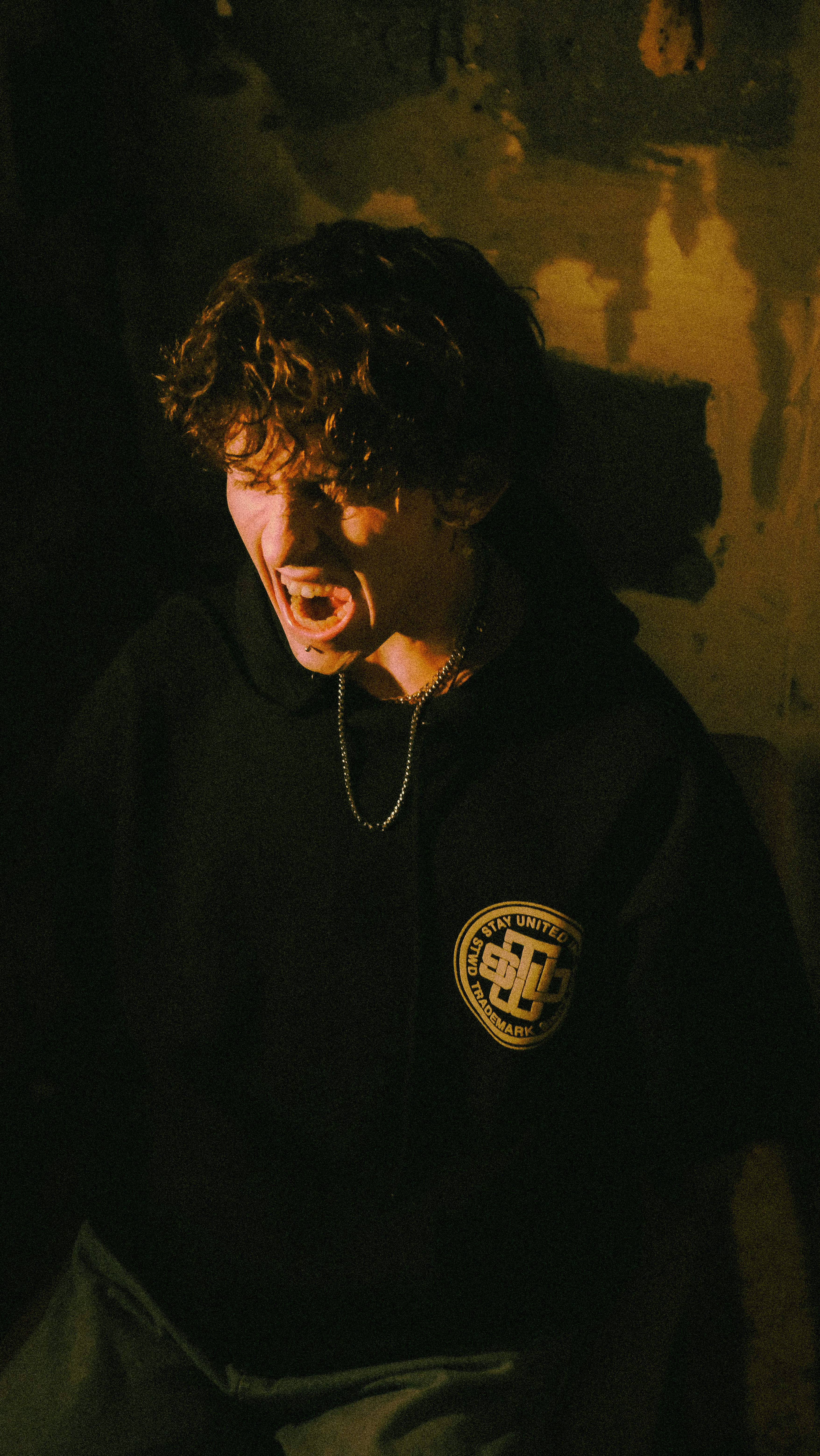 Young Musician Screaming at Concert · Free Stock Photo