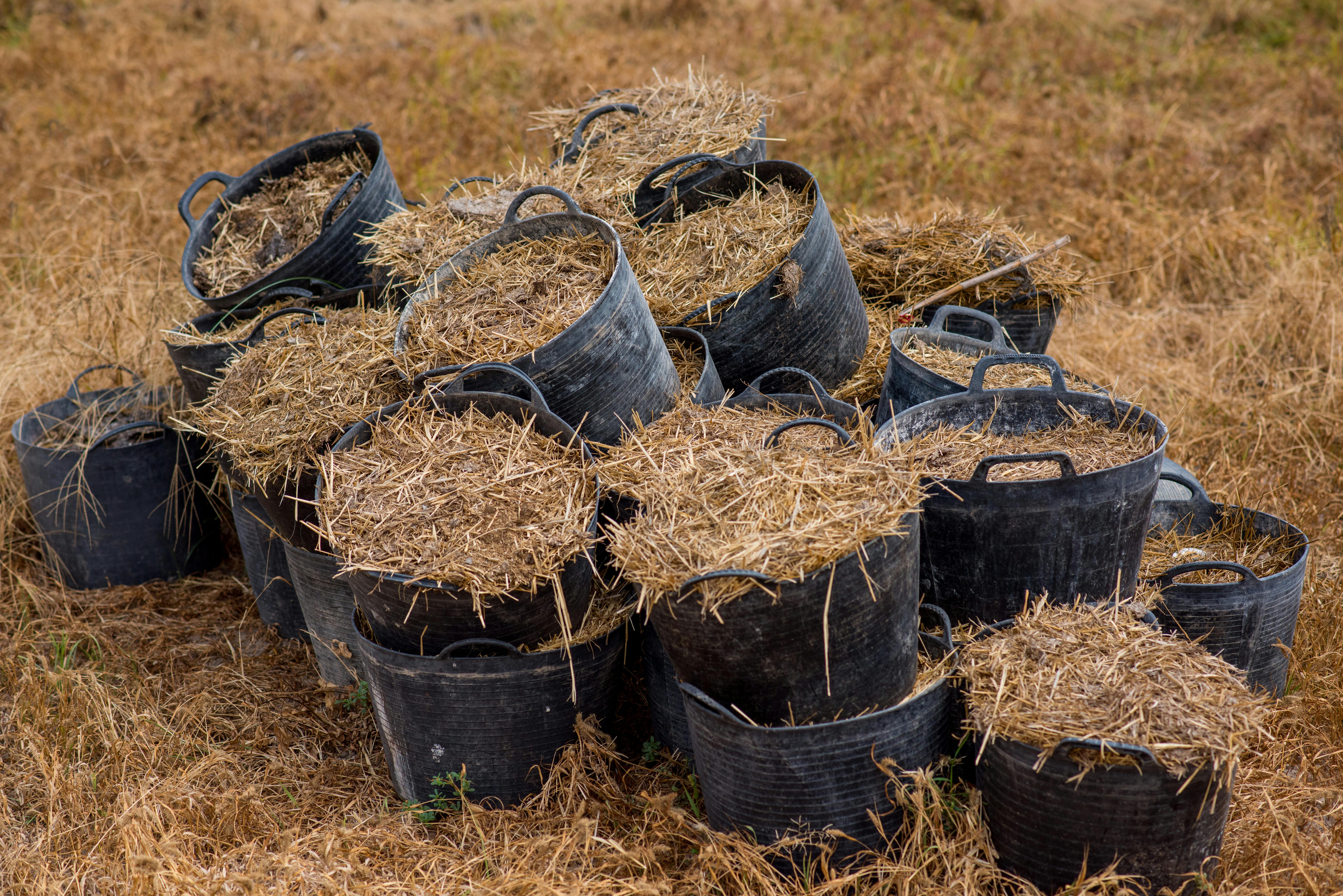 Harvested Crop Photos, Download The BEST Free Harvested Crop Stock ...