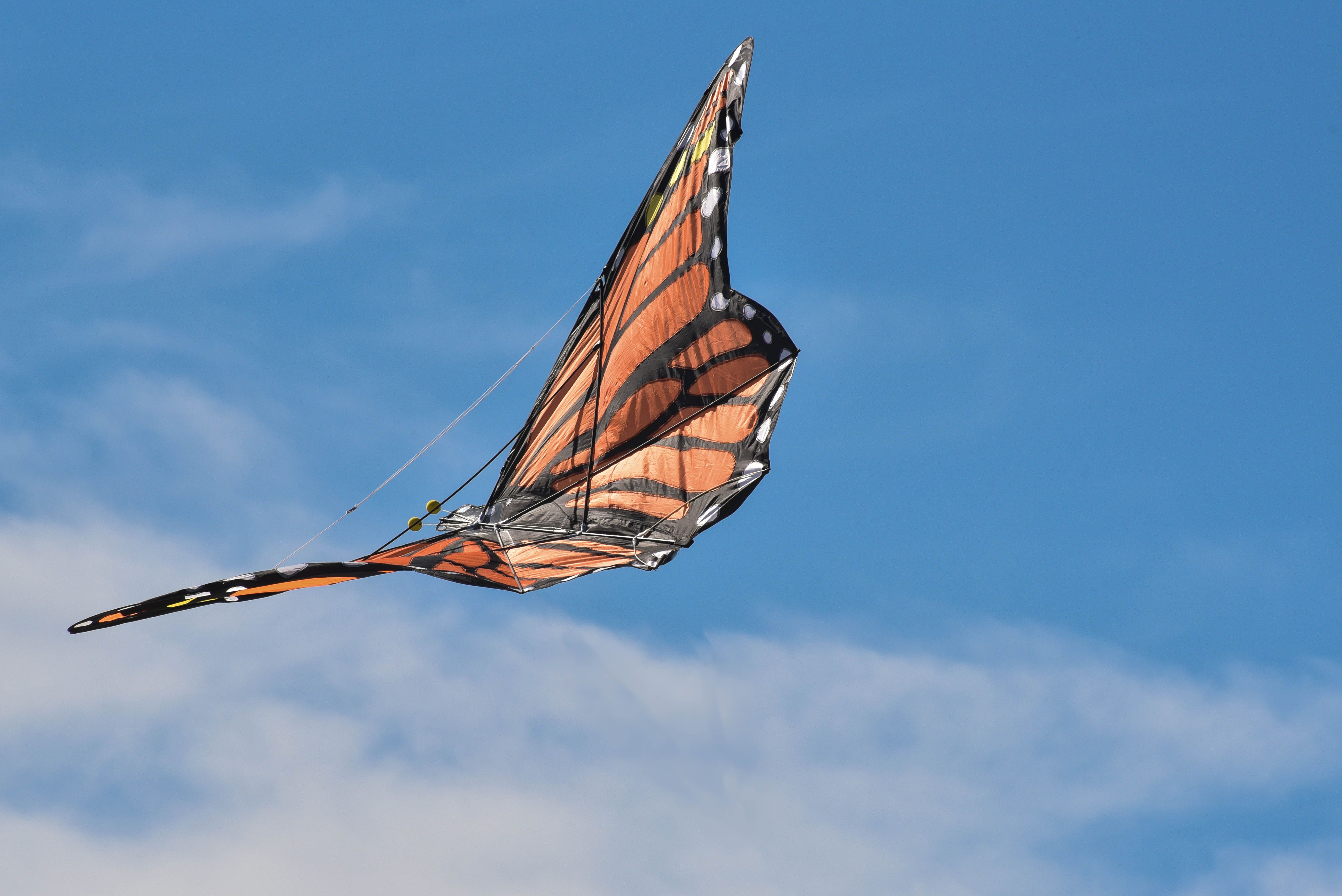 A Kite in the Sky · Free Stock Photo