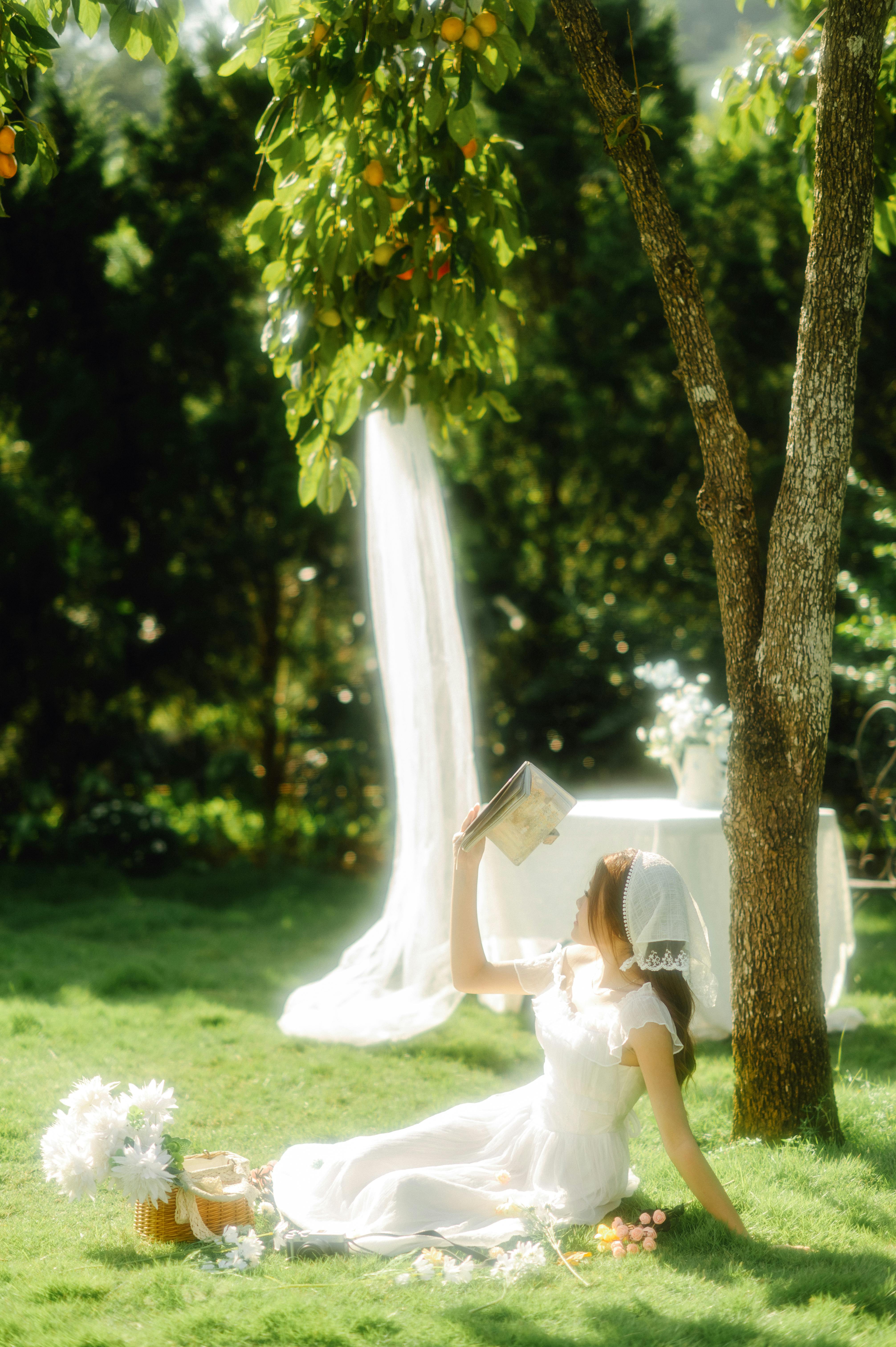 Sitting Under Tree Photos, Download The BEST Free Sitting Under Tree ...