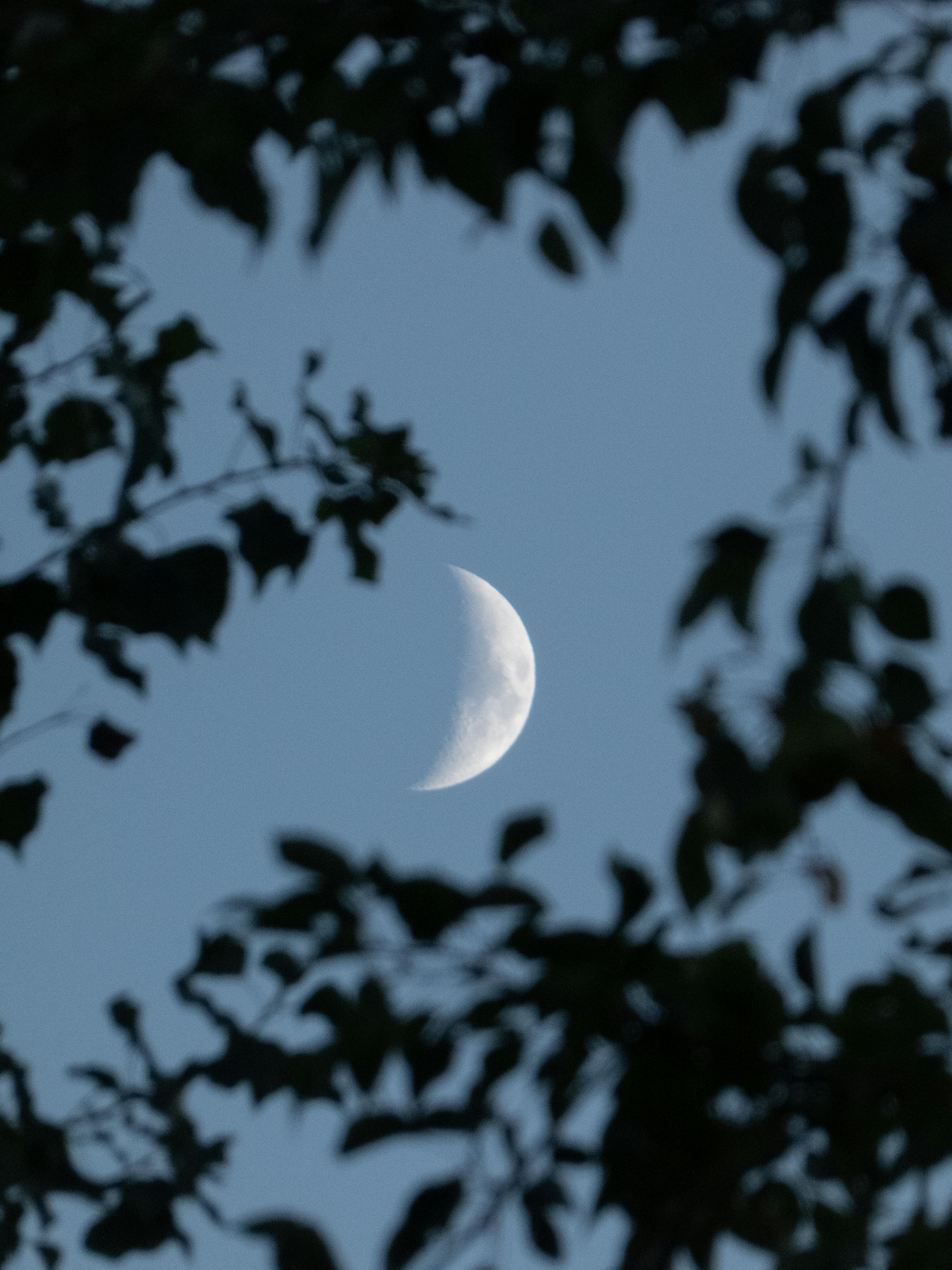 moon during sunset · Free Stock Photo