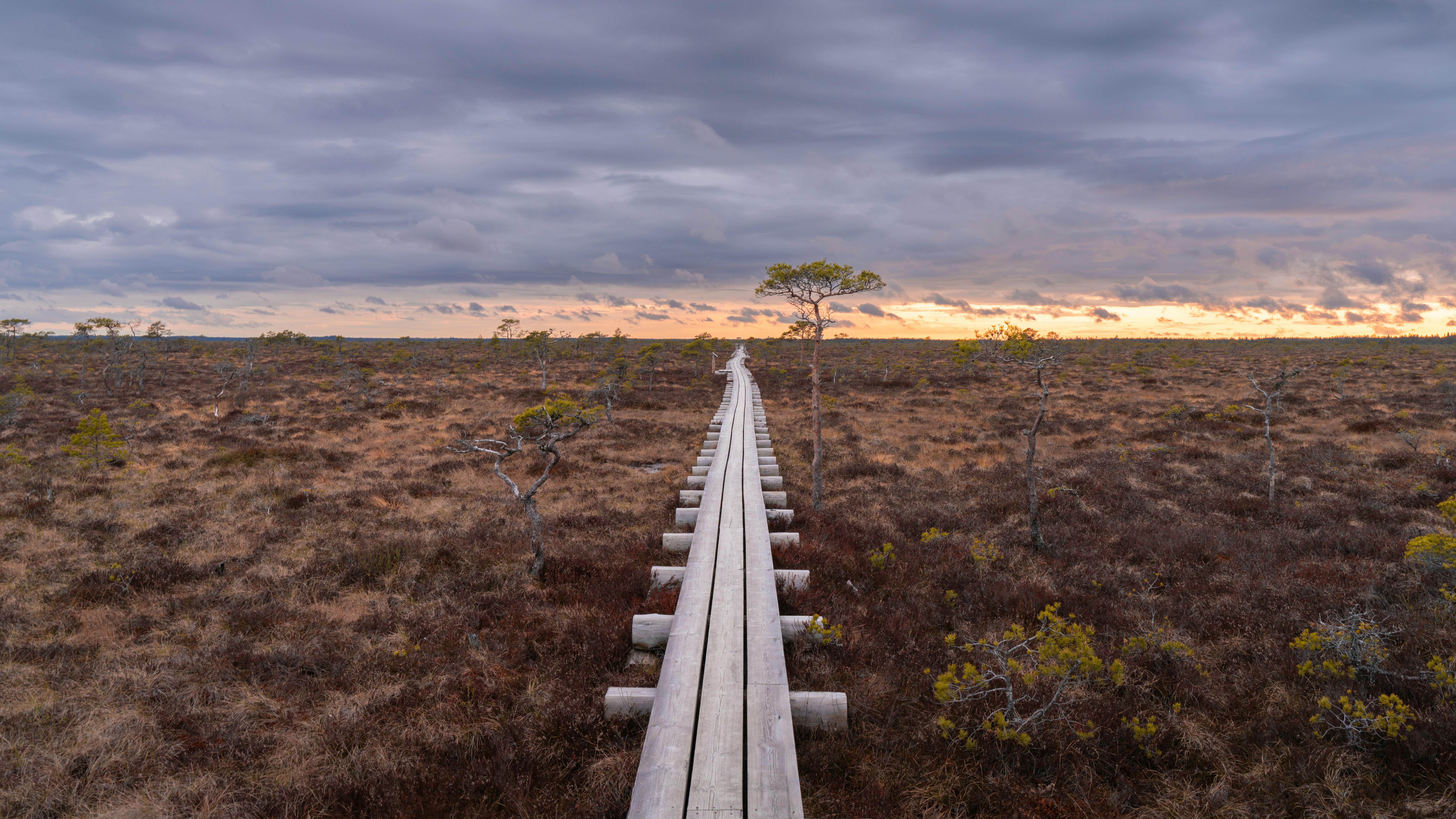 Bog Preserve Photos, Download The BEST Free Bog Preserve Stock Photos ...