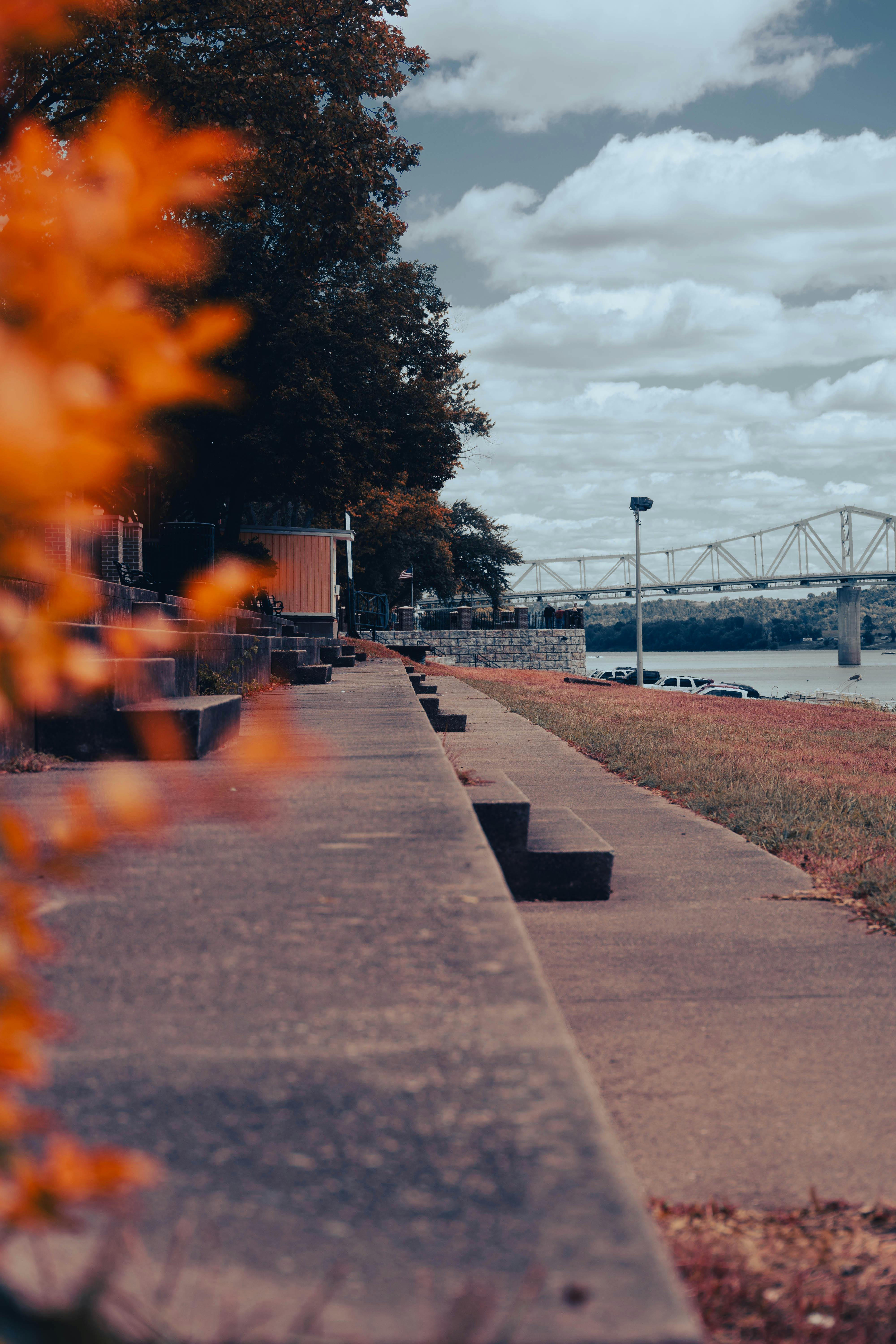 A bench with a view of the river and a bridge · Free Stock Photo