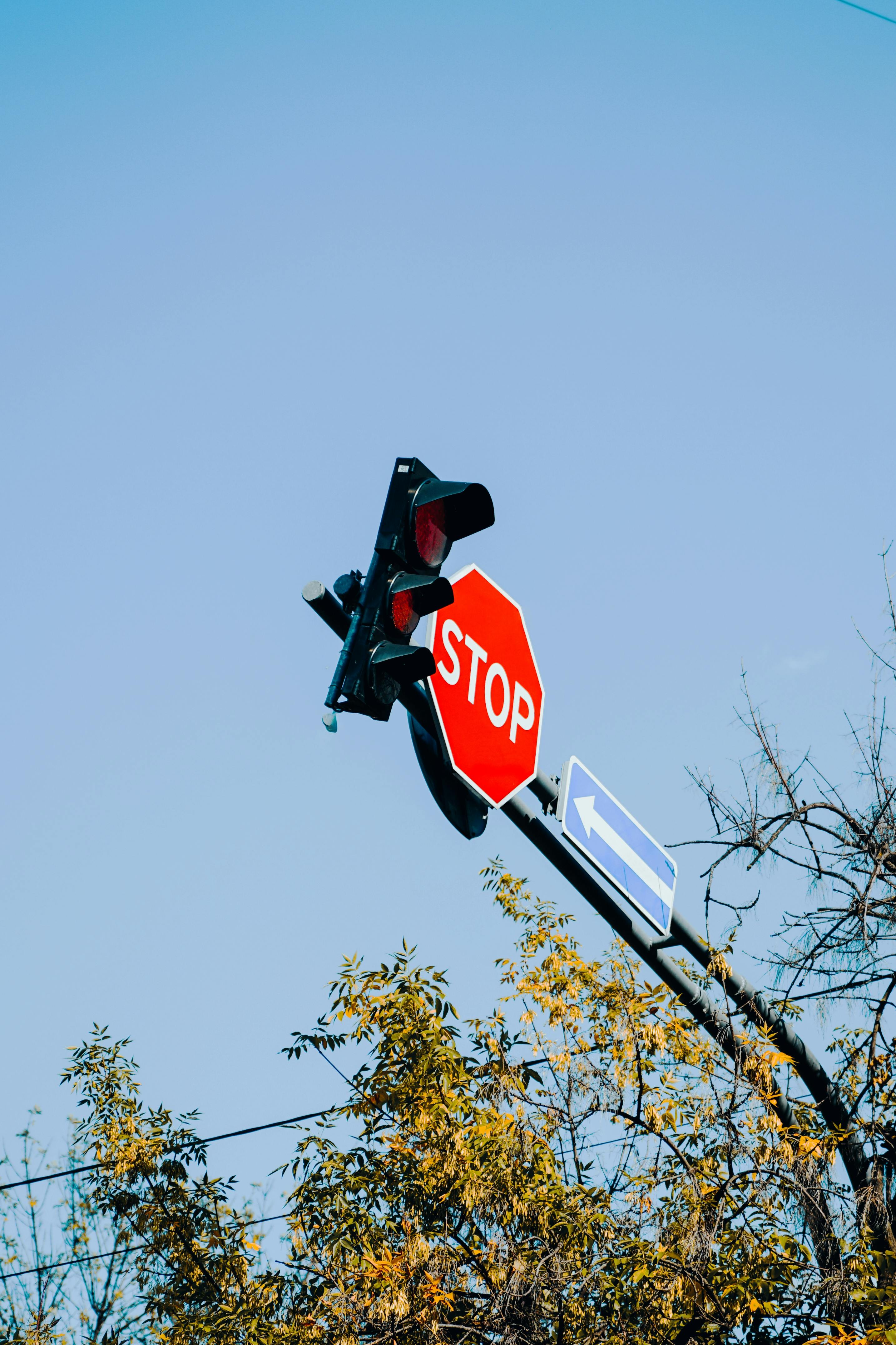 Urban Stop Sign Against Clear Sky · Free Stock Photo