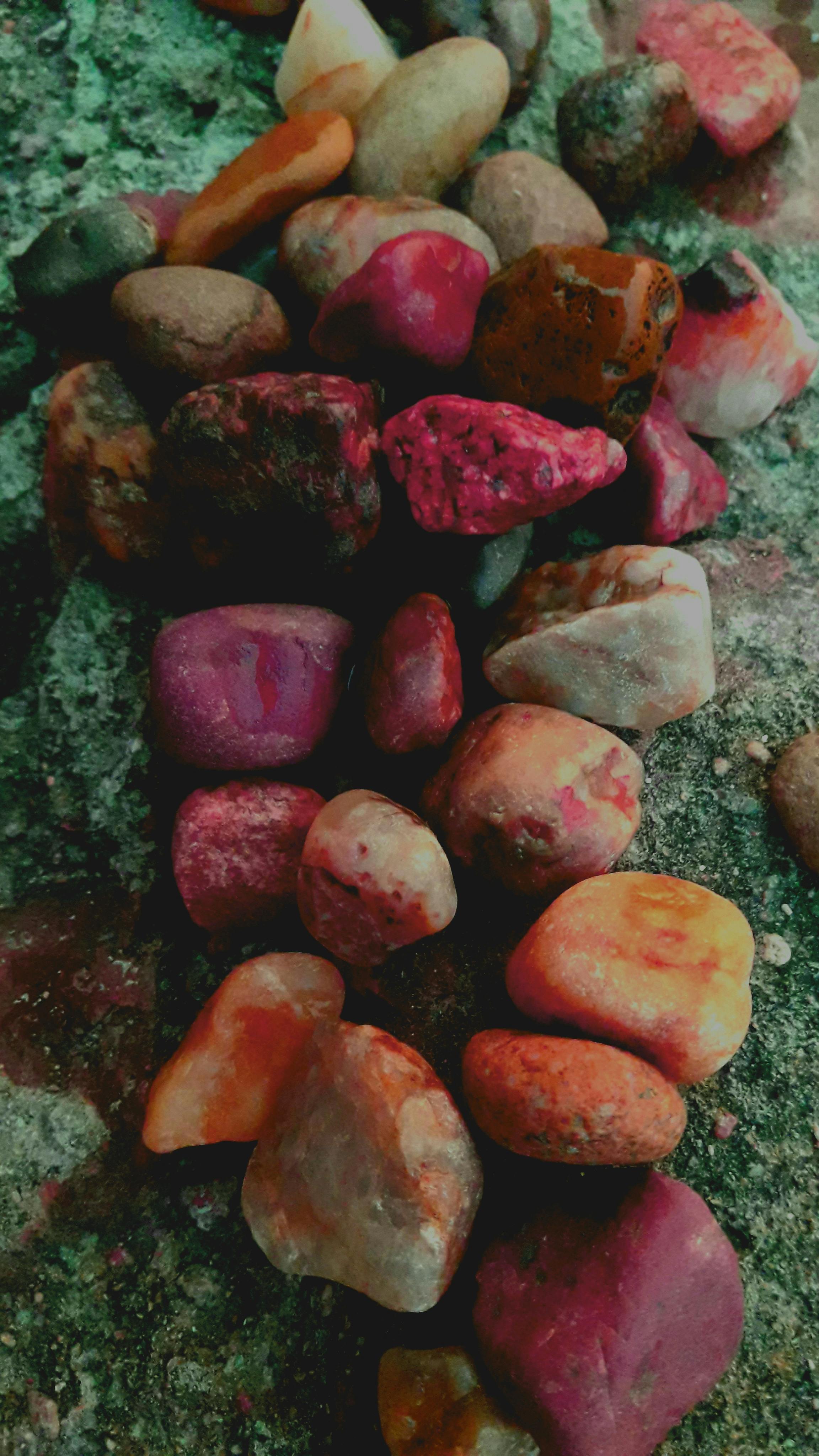 Devansh Kumar - Photography