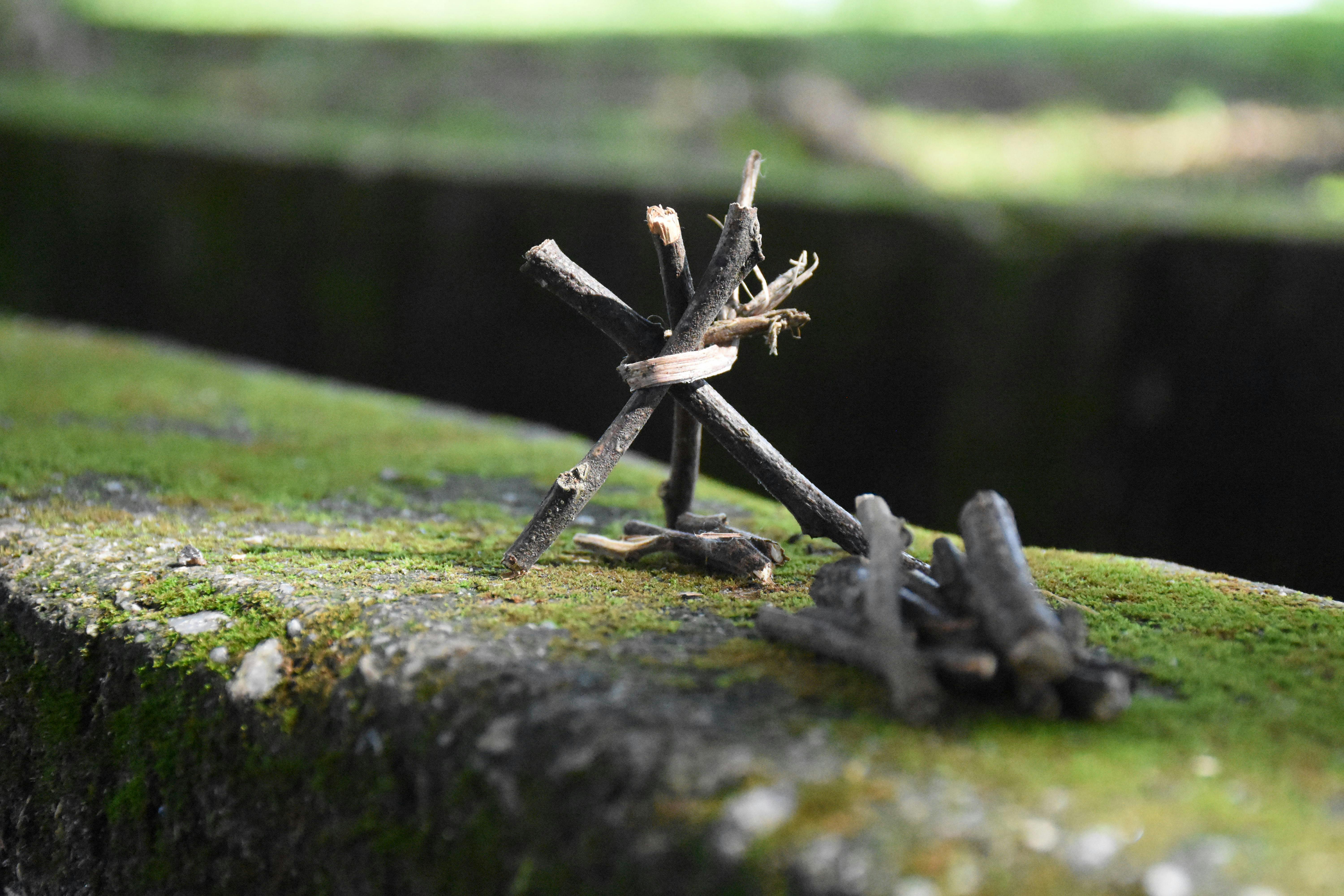 Stick Structure Photos, Download The BEST Free Stick Structure Stock ...