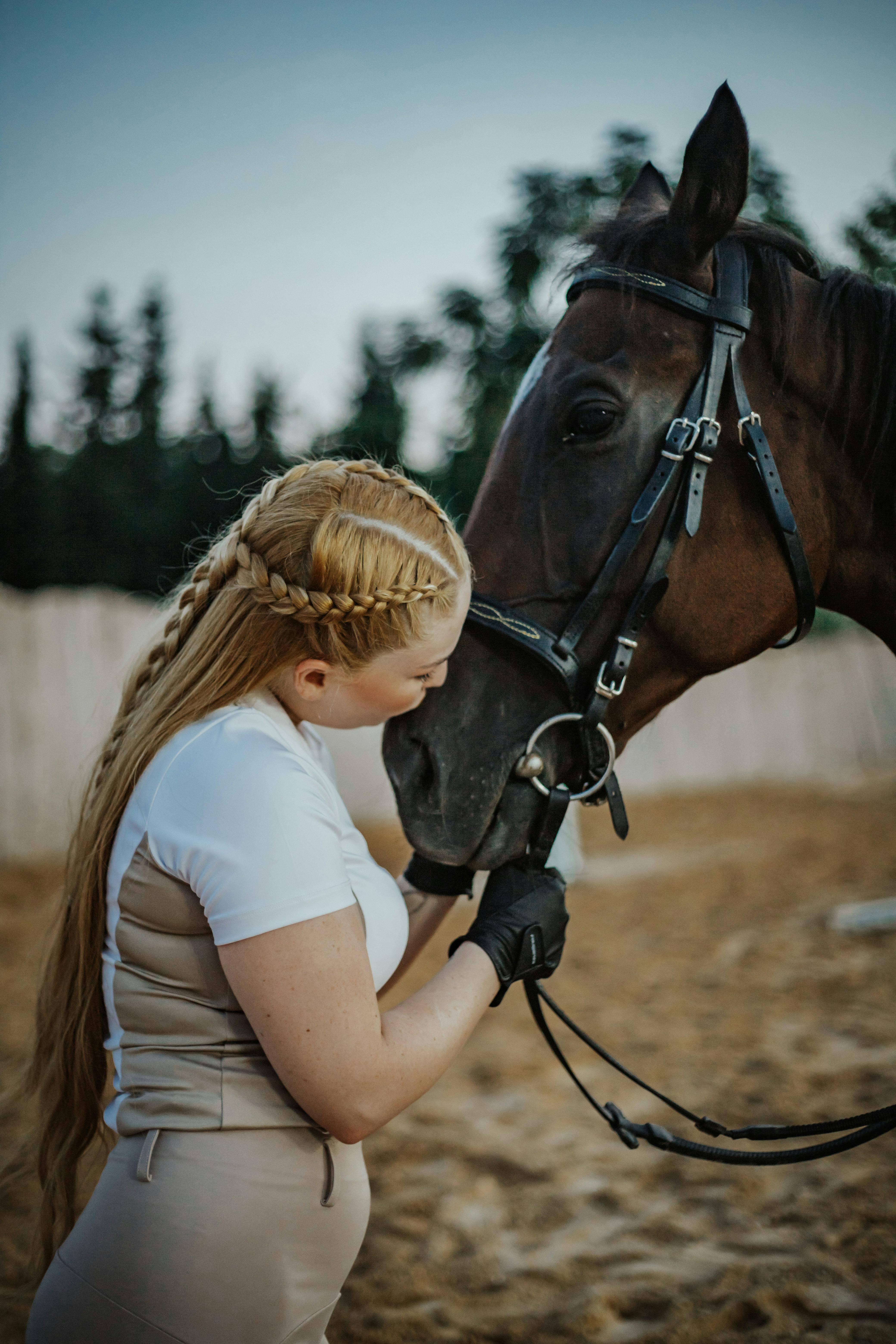 Photo of Person Riding a Horse · Free Stock Photo