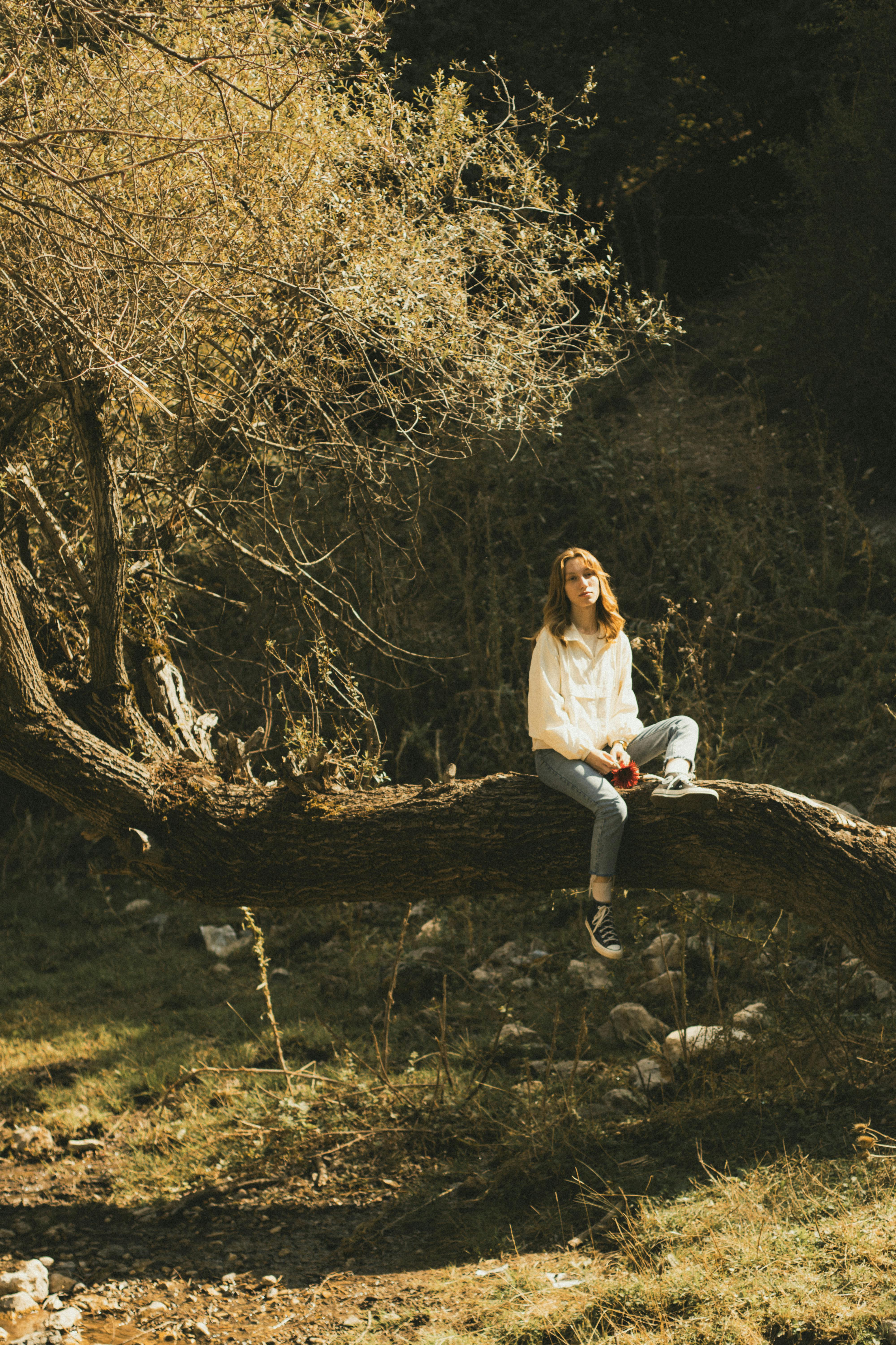 Tree Branch Breaking Photos, Download The BEST Free Tree Branch ...