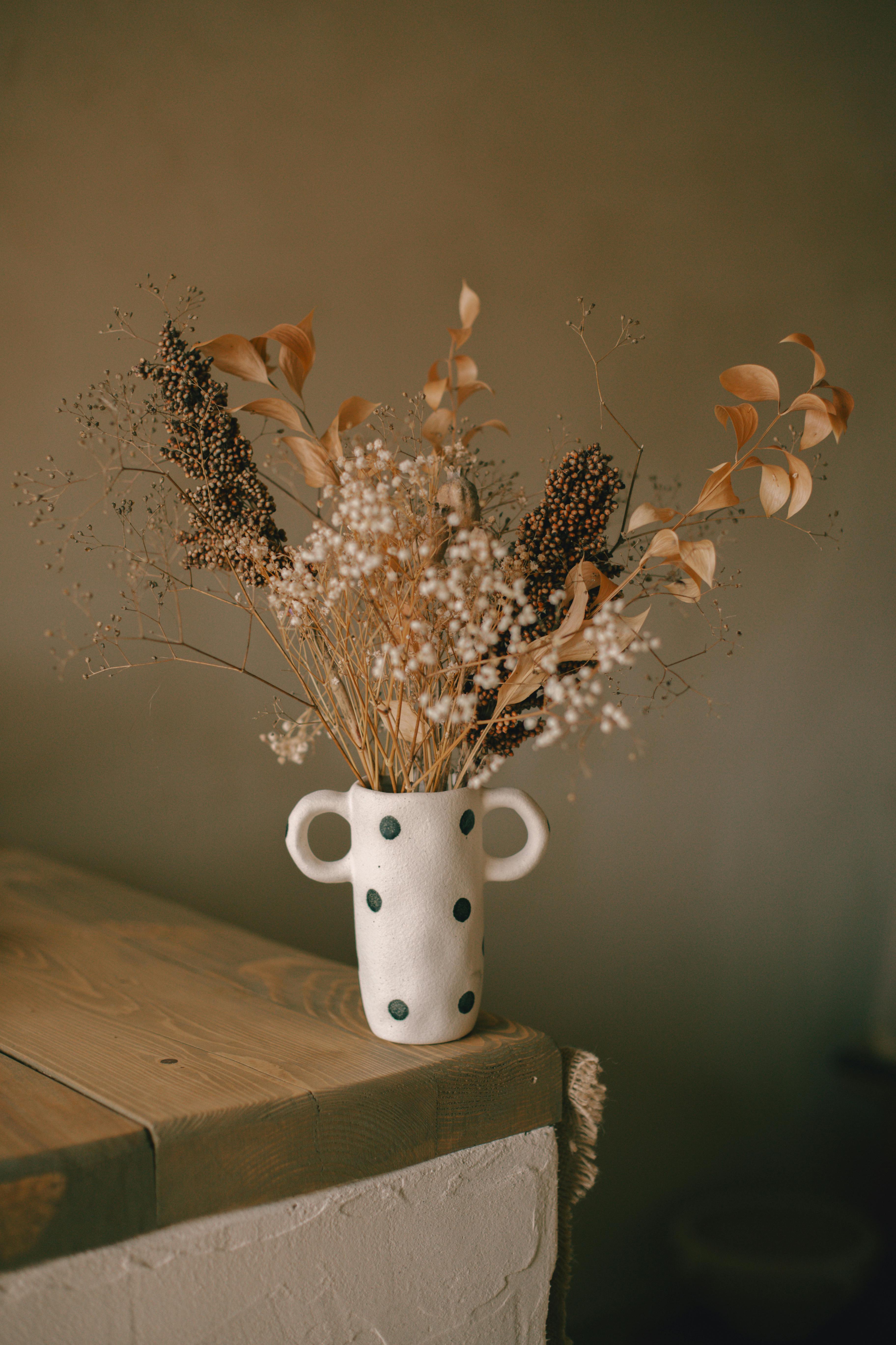 Moderate Colors Photos, Download The BEST Free Moderate Colors Stock ...