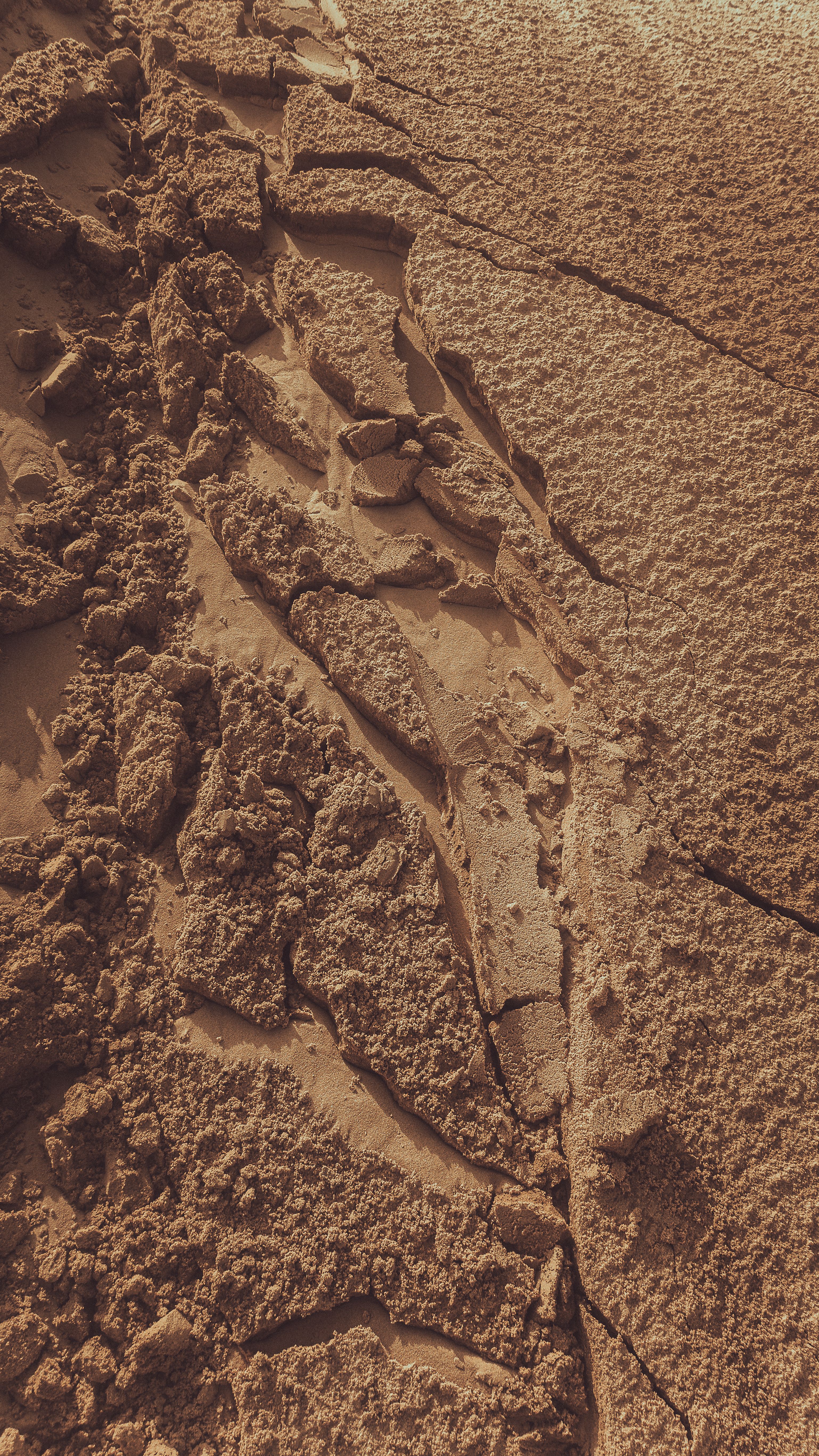 sand dunes, after rain 🌧️ · Free Stock Photo