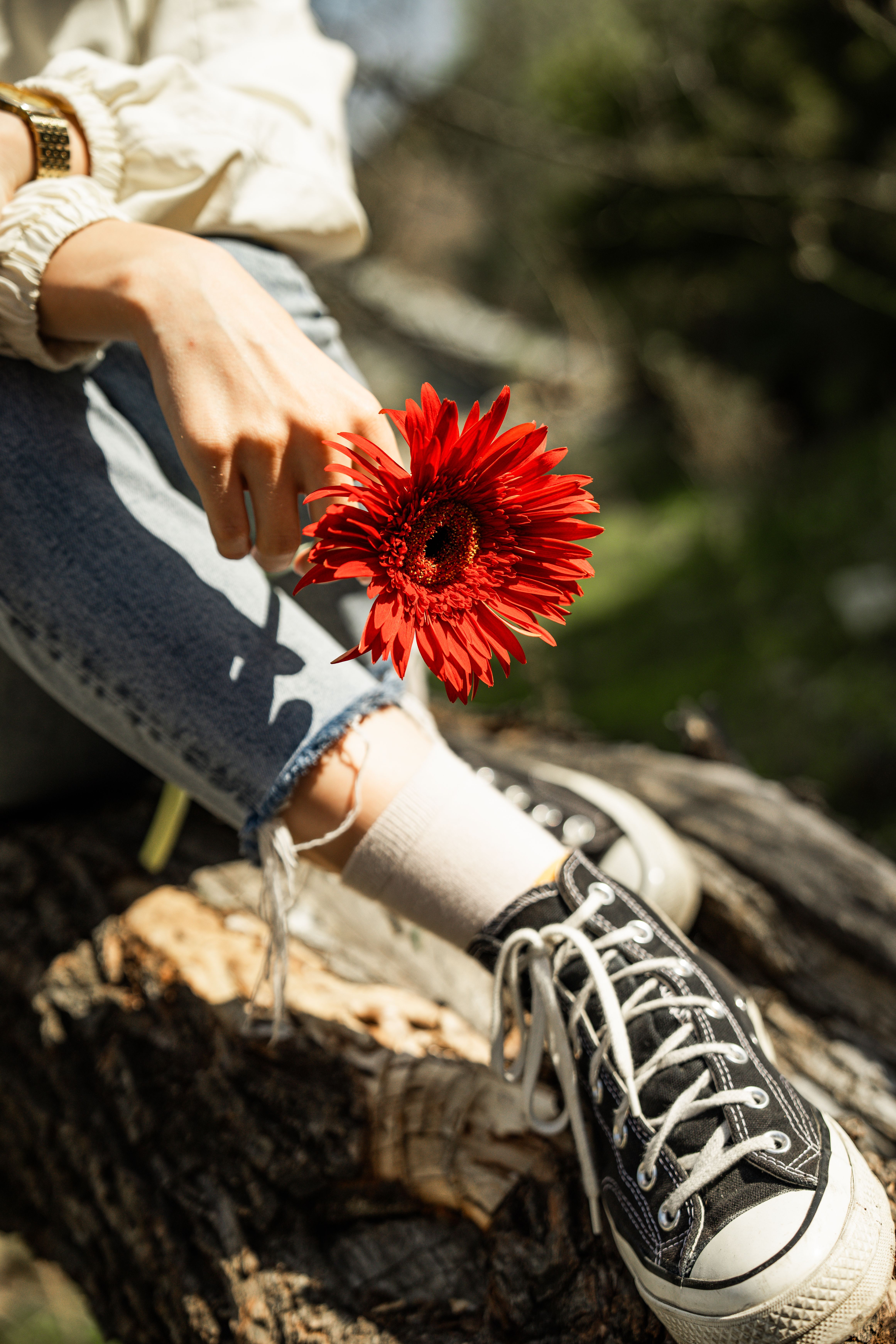 A woman's feet are sitting on a log with a flower · Free Stock Photo