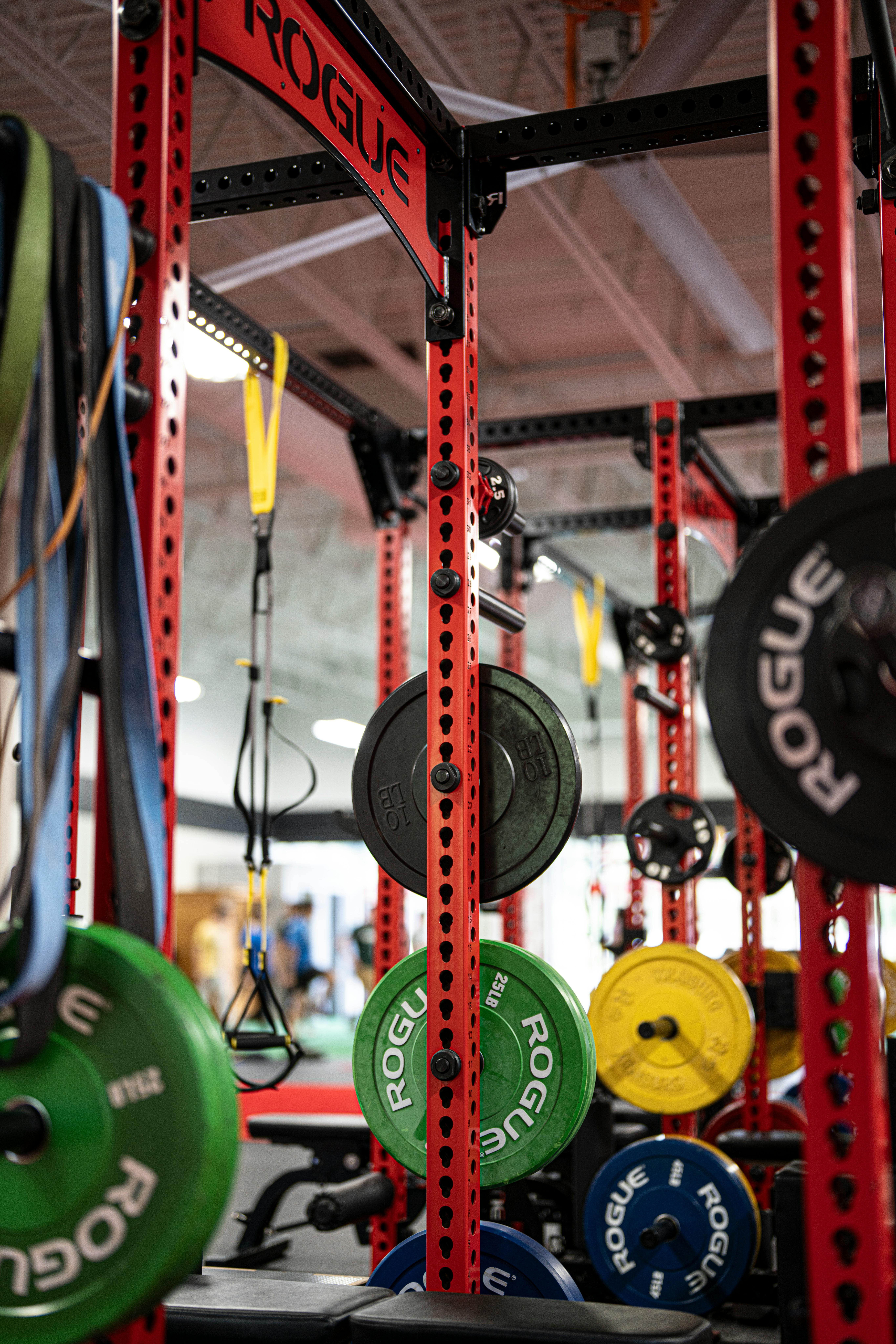 Rogue Weightlifting 장비가 있는 활기찬 체육관 · 무료 스톡 사진
