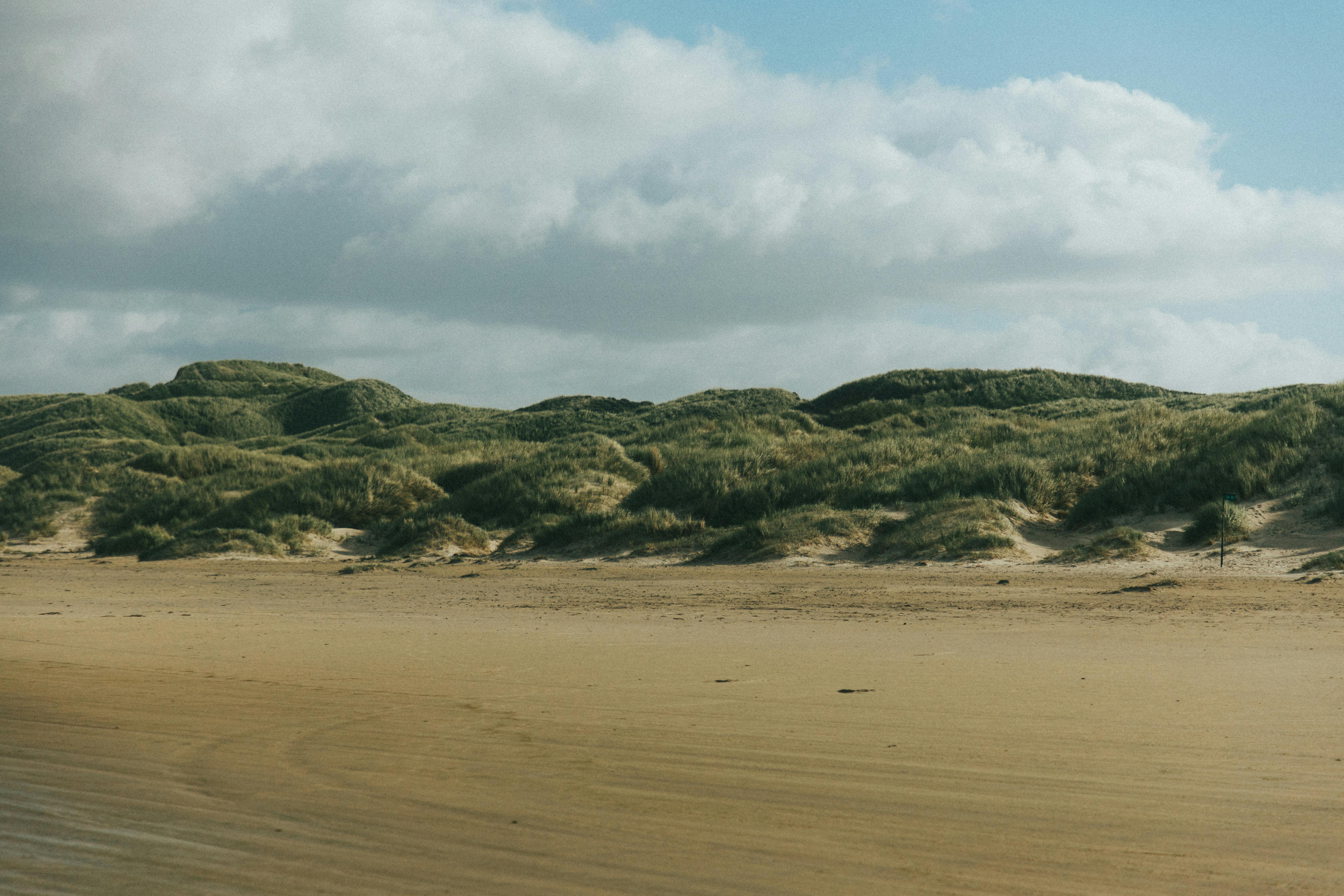 Nordic Beach Dunes · Free Stock Photo
