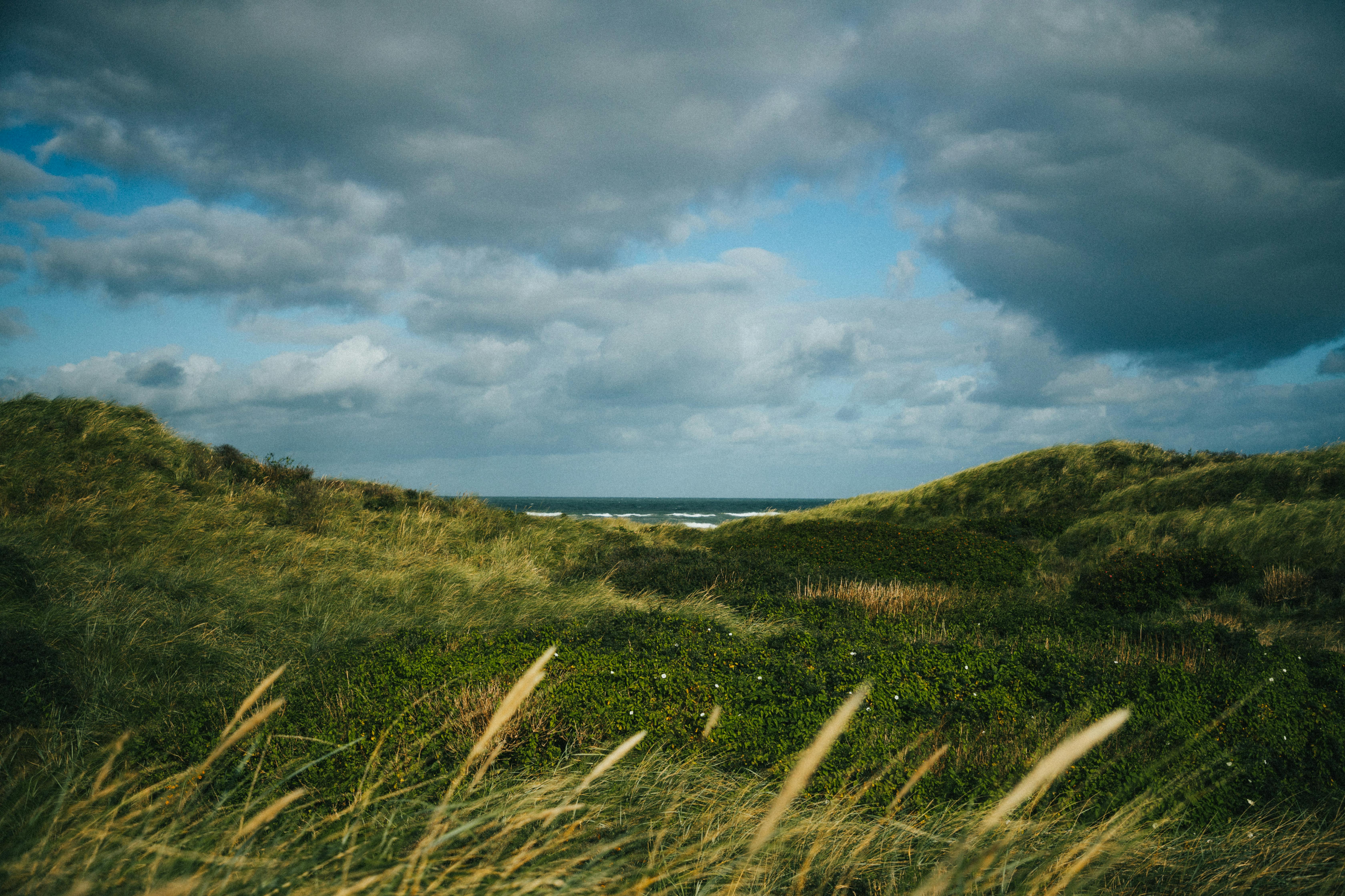 Nordic Ocean · Free Stock Photo