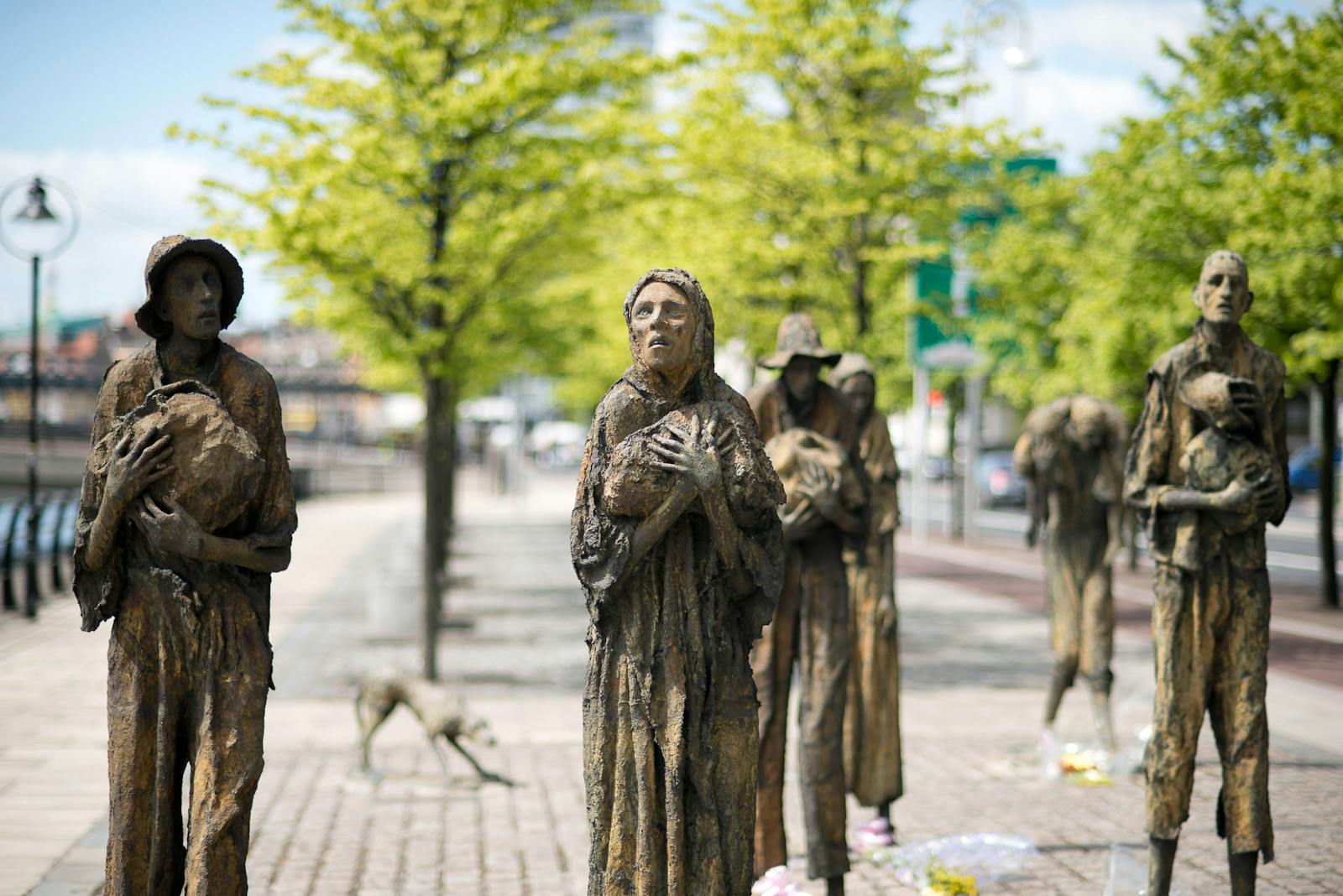 Famine Photos, Download The BEST Free Famine Stock Photos & HD Images