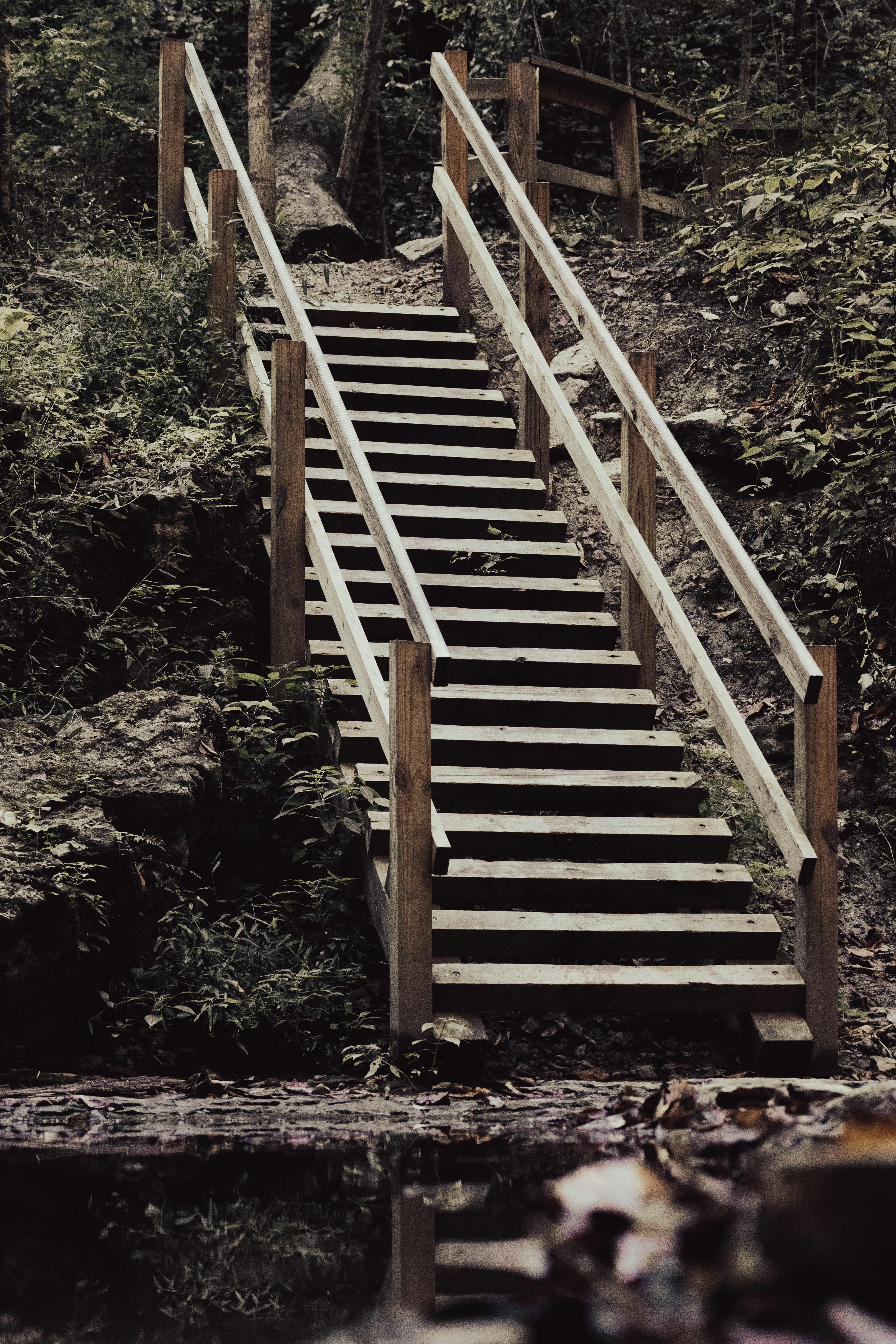 Wooden Stairs on Hill over River in Forest · Free Stock Photo