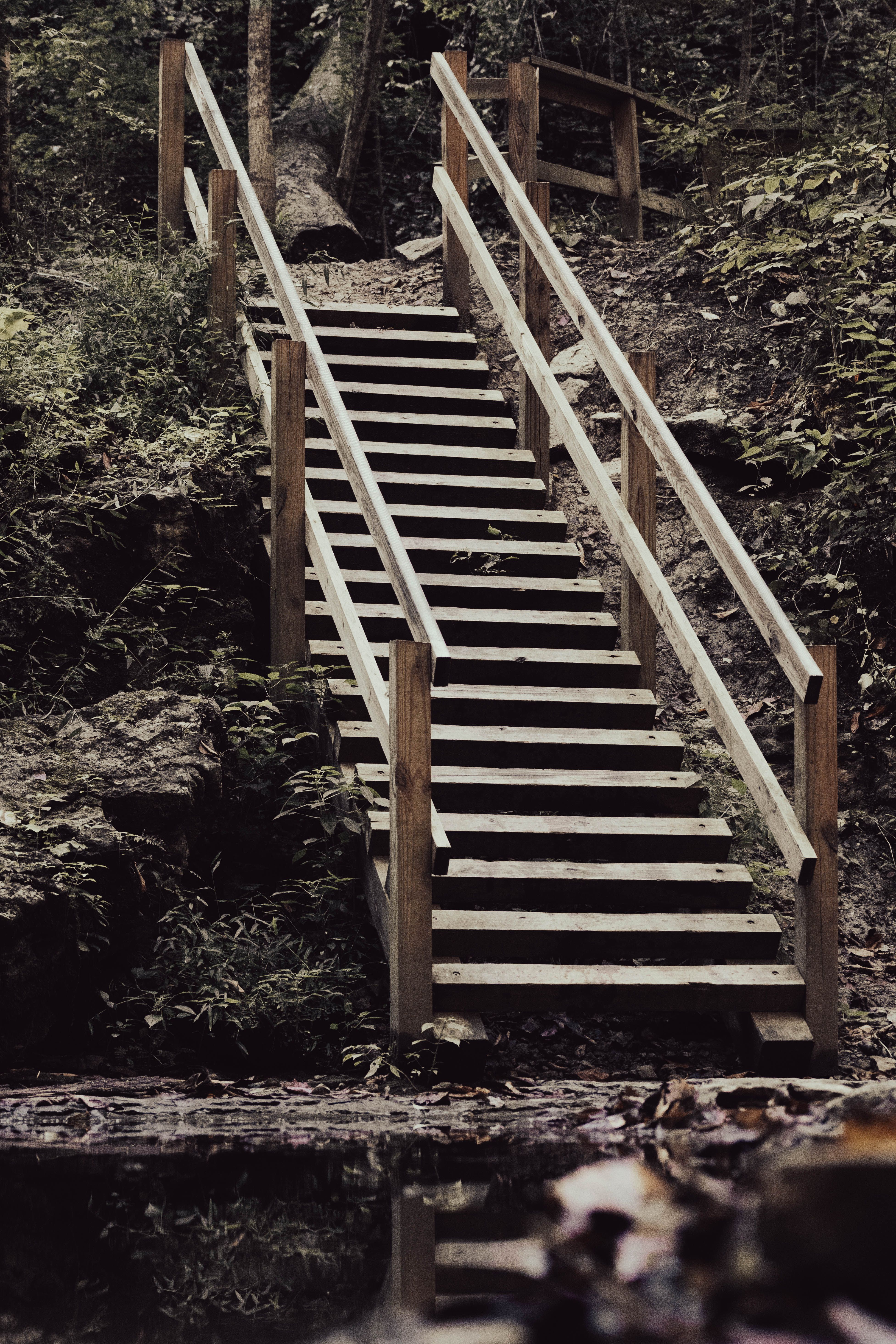 Wooden Stairs on Hill over River in Forest · Free Stock Photo