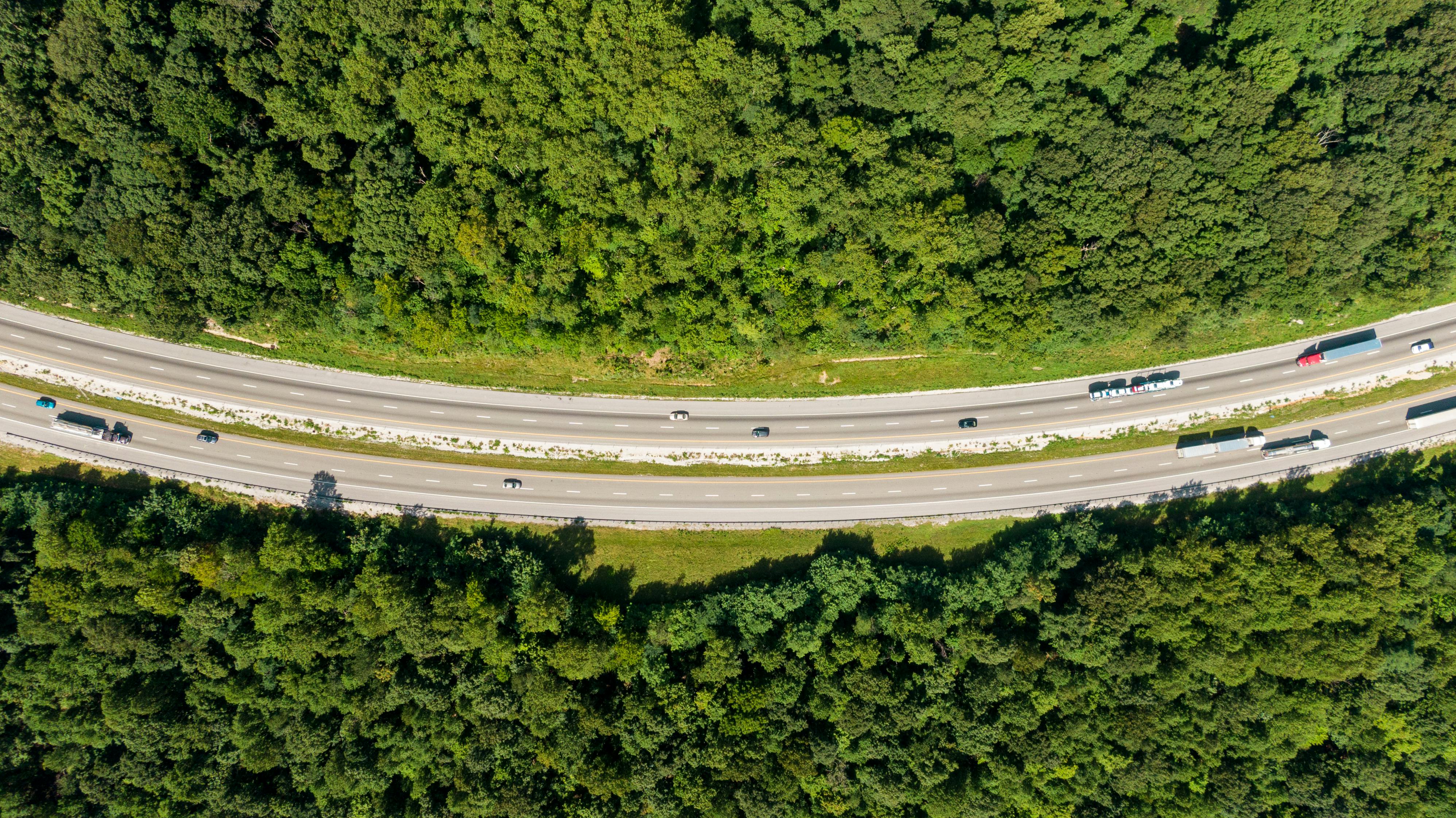 Bird's Eye View Of Road During Daytime · Free Stock Photo