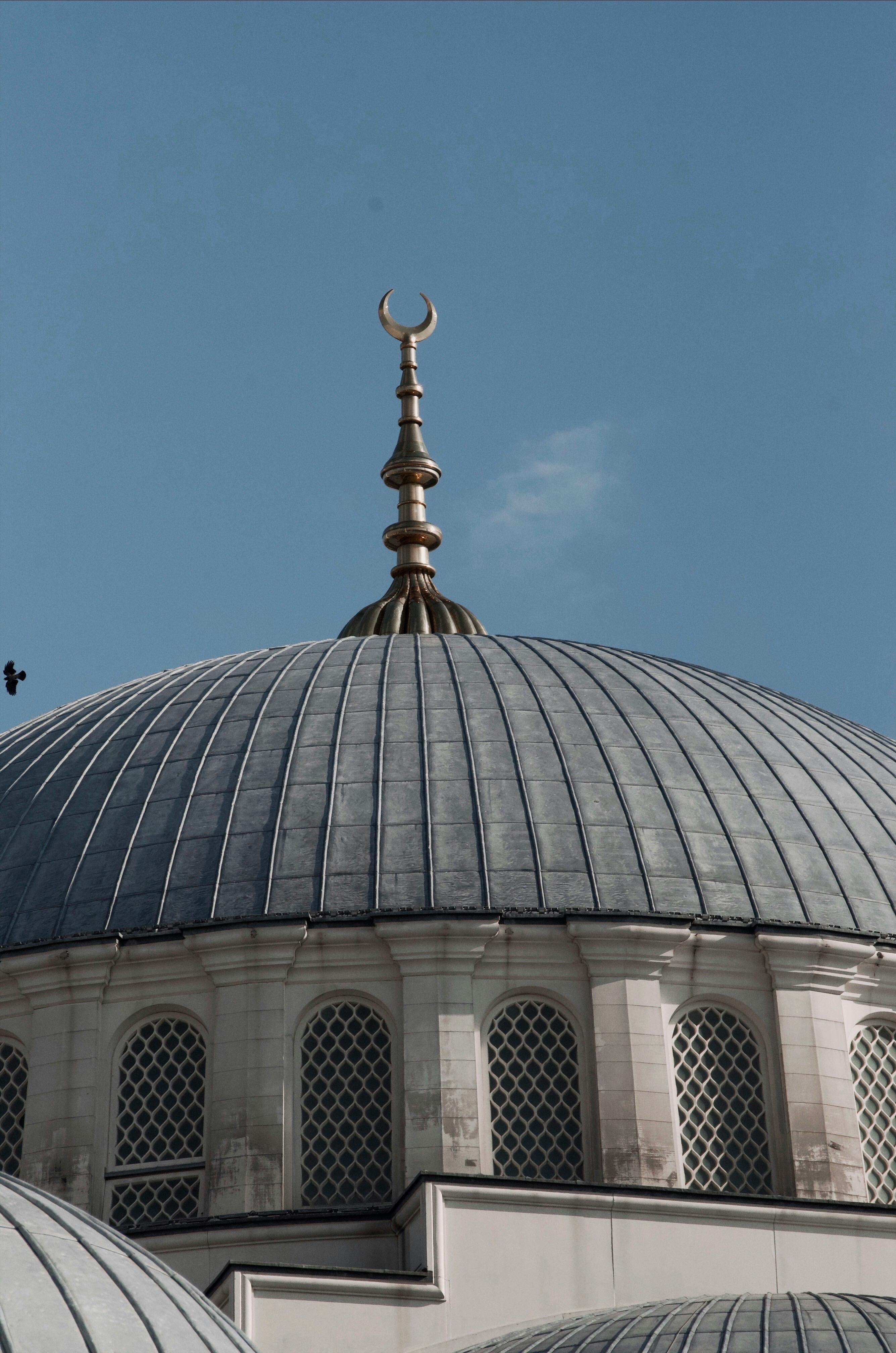 Silver Mosque Top Dome Ornament · Free Stock Photo