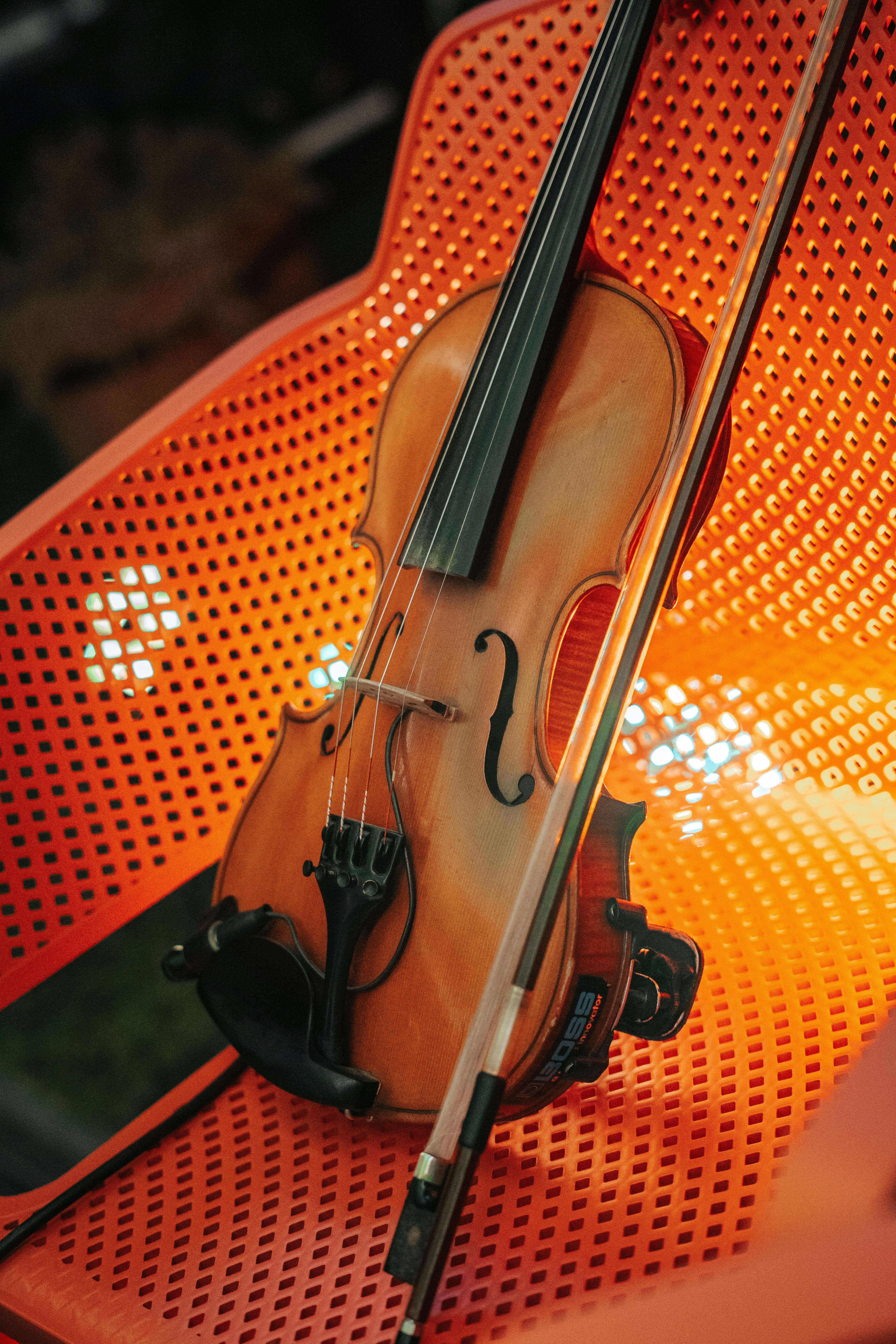 Close up of Violin · Free Stock Photo