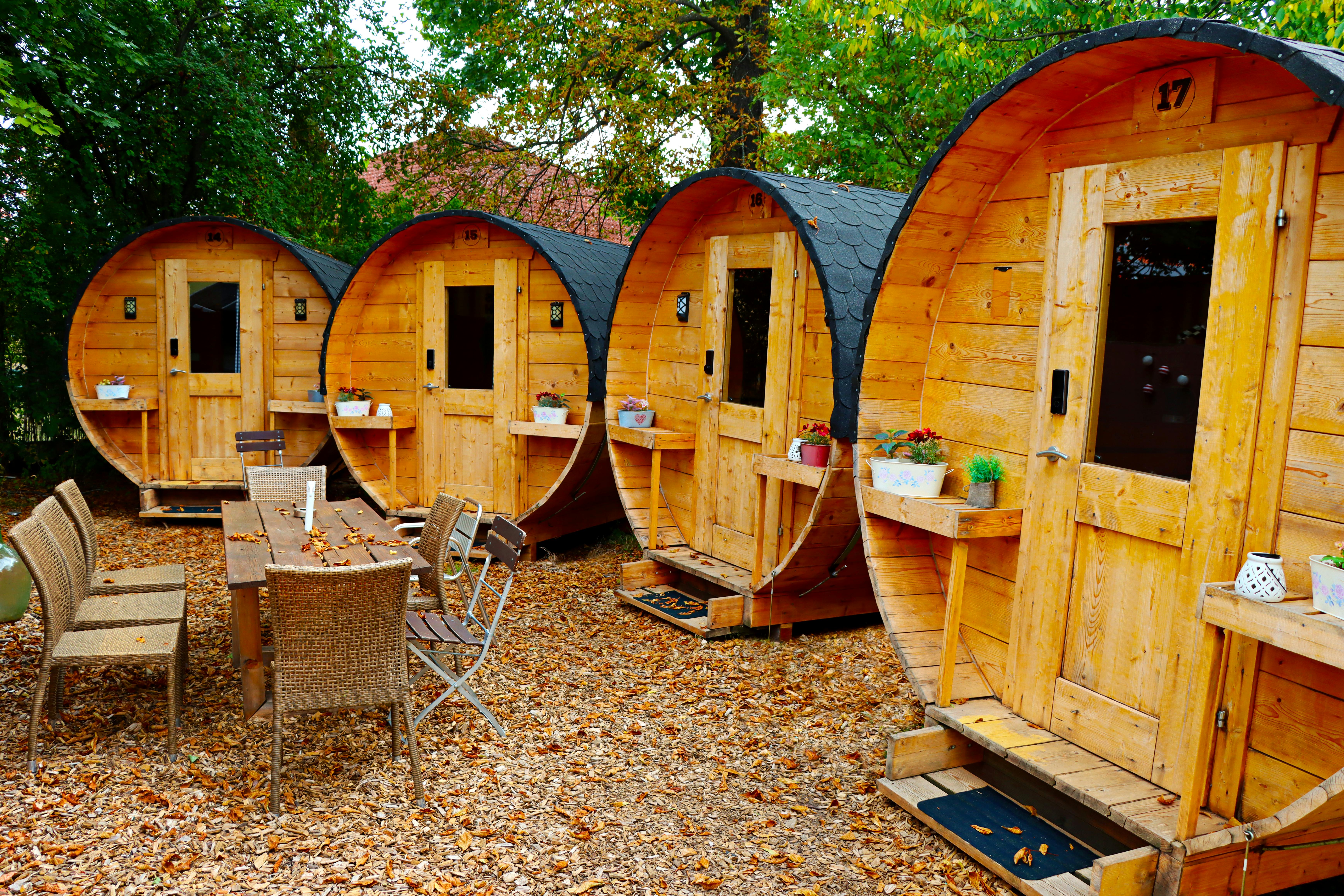 Wooden Cabins in Forest · Free Stock Photo